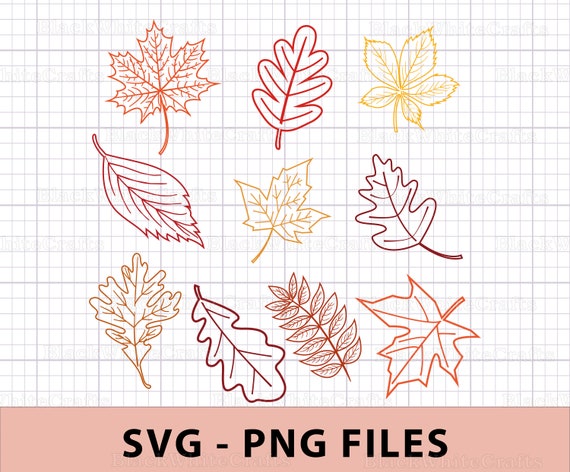 Fall Leaves Svg Fall Svg Fall Leaf Svg Bundle Cut Files for - Etsy