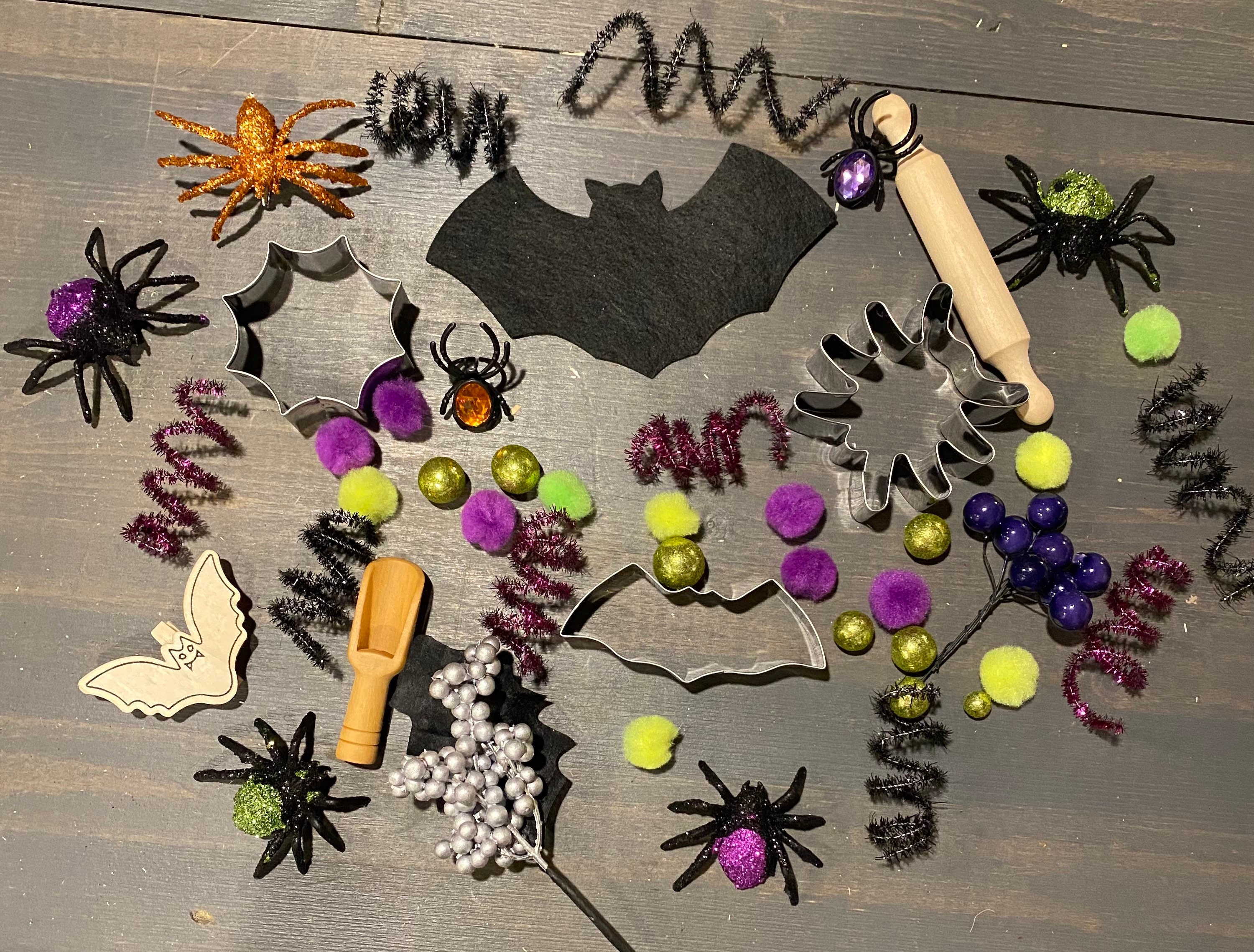 Bats and Spiders Sensory Kit - Etsy
