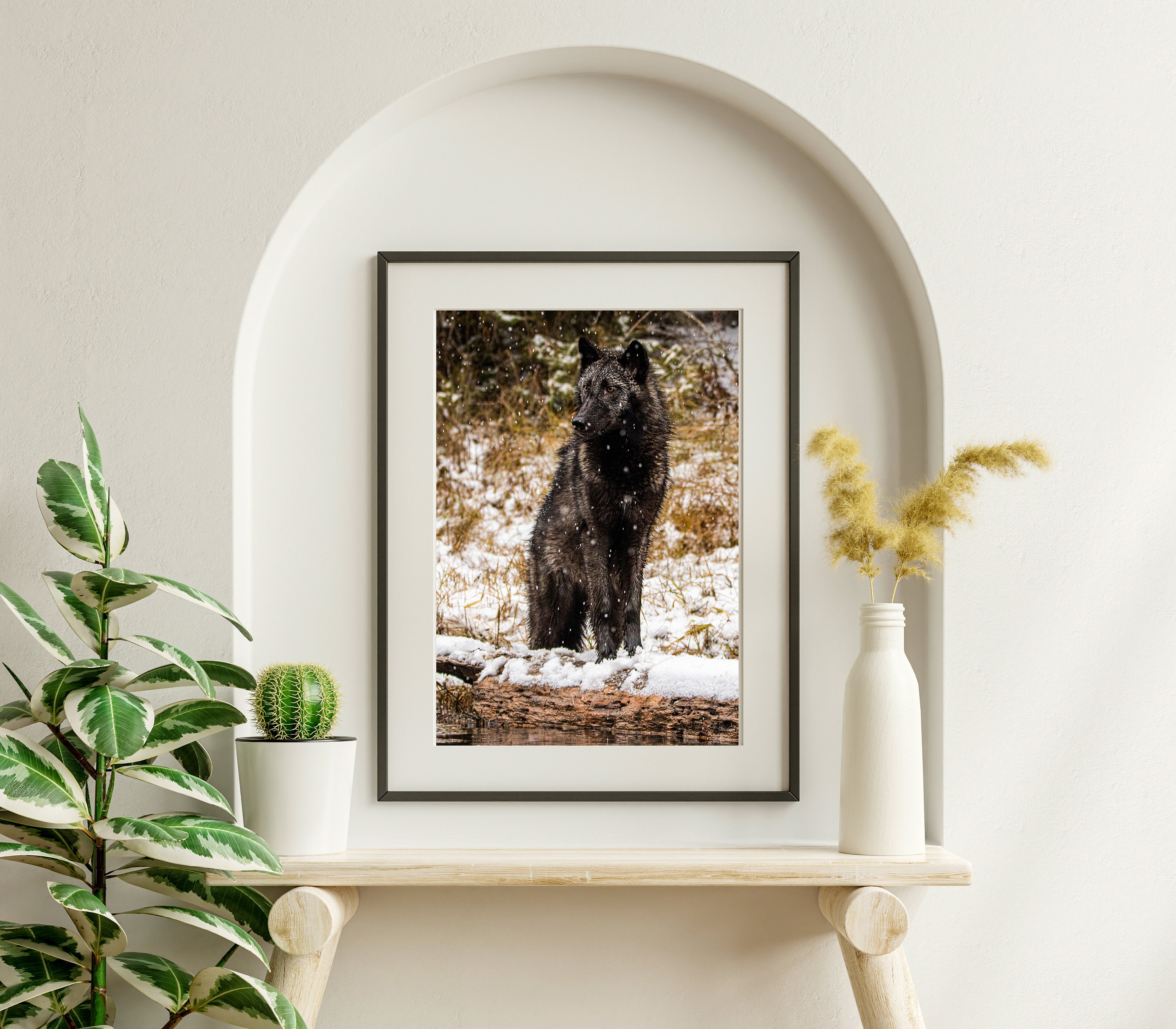 Born to Stand Out Wolf on a Log in Snow Photo Image Available in Print ...