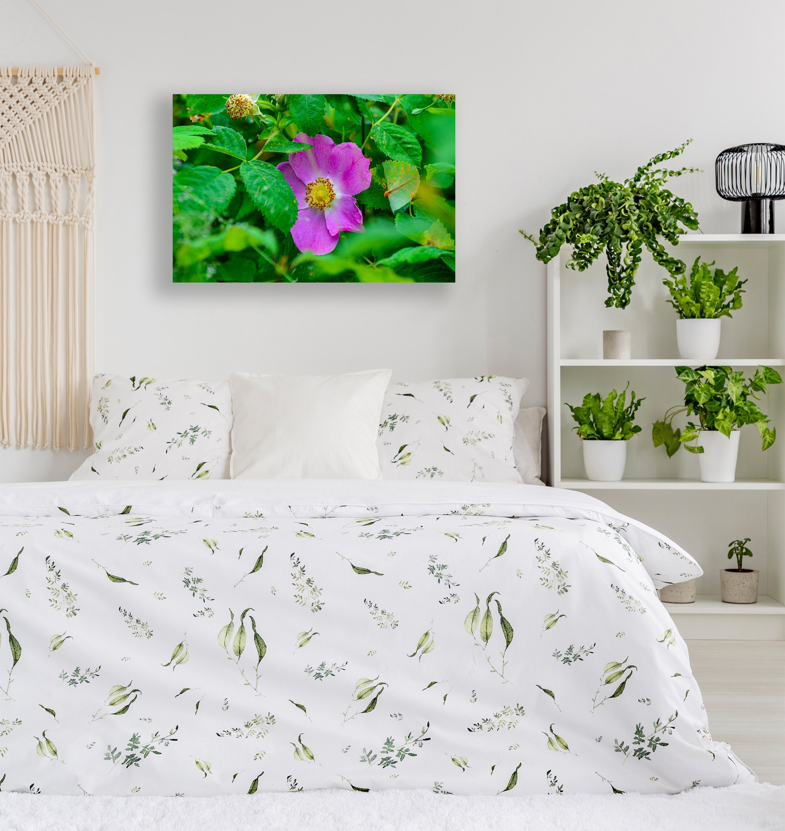 Wild Rose - Small Single Flower Photo Image Available in Print, Canvas ...