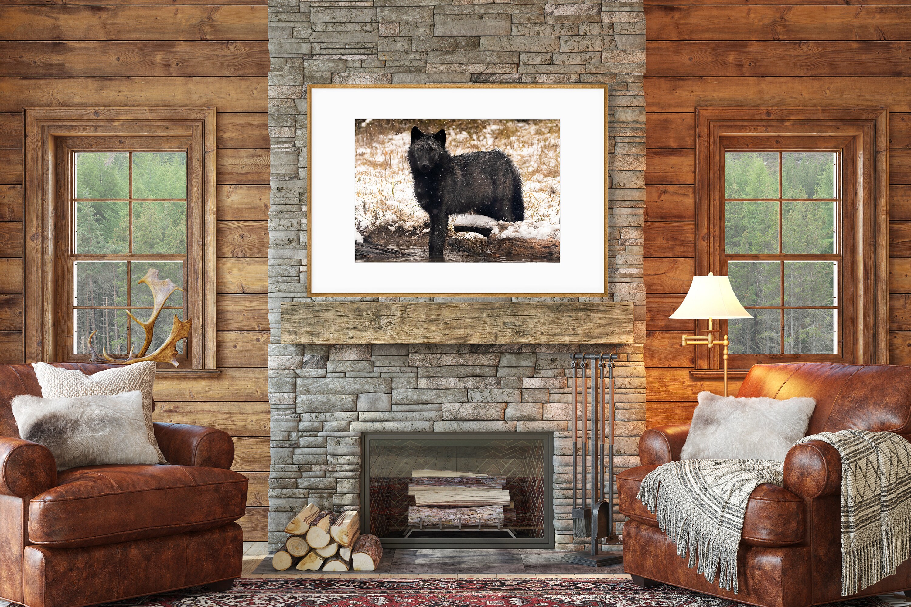 The Black Wolf's Curse - Wolf in Snow Photo Image Available in Print ...