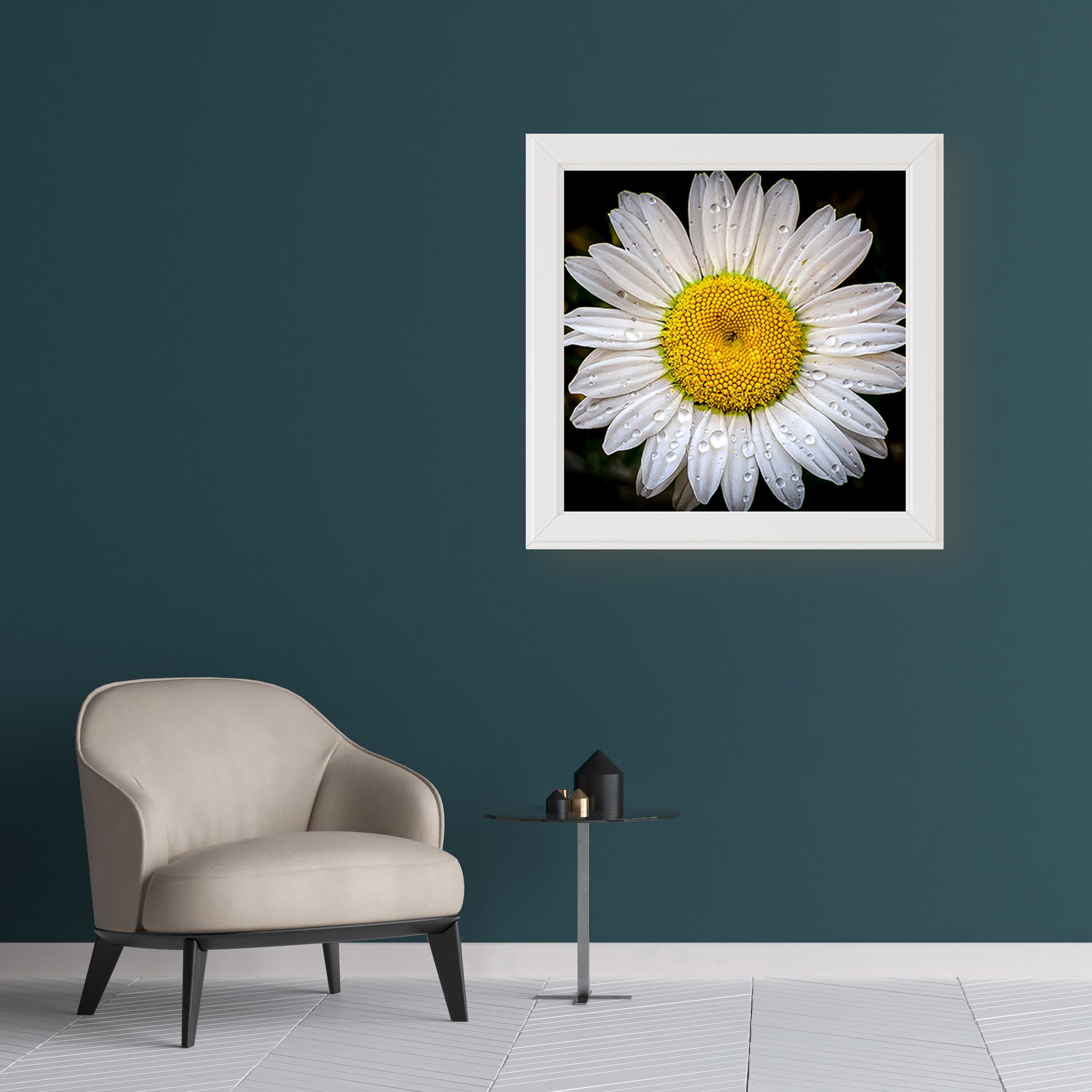 Daisy Dew Drop Daisy Floral Photo Image Available in Print, Canvas ...