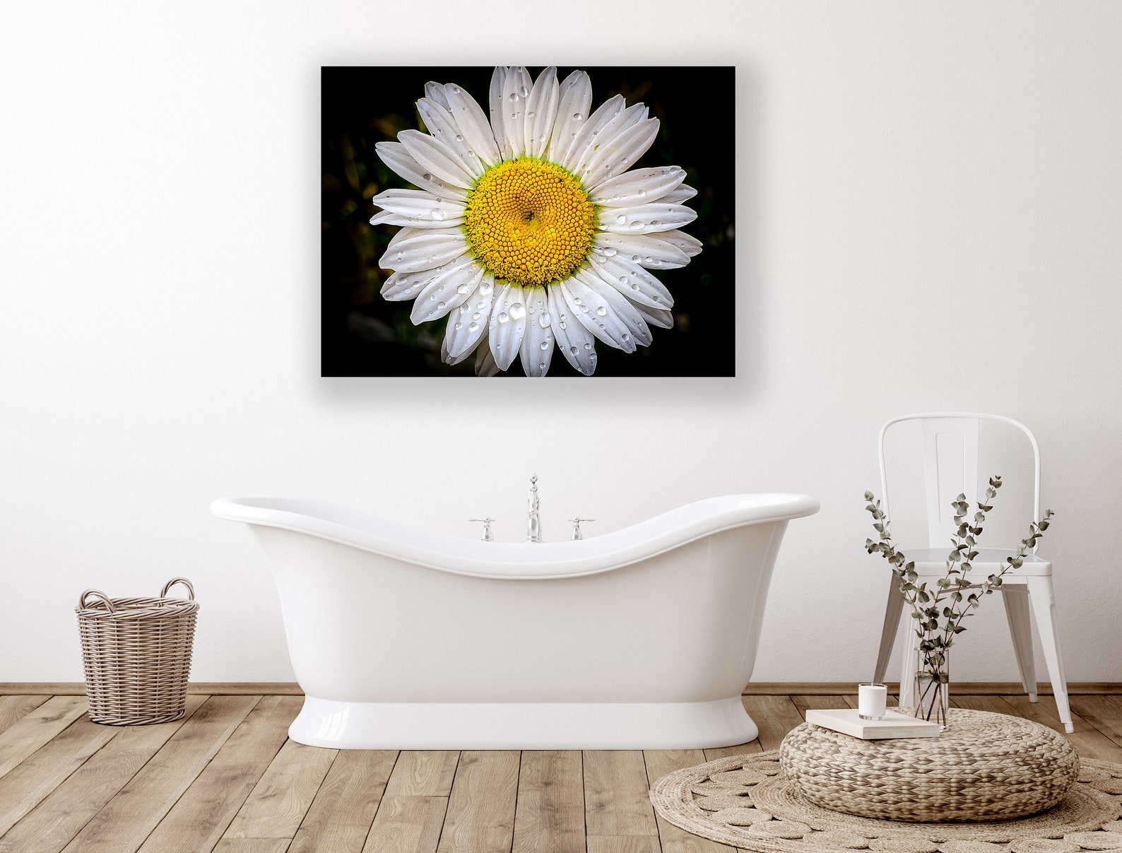 Daisy Dew Drop - Daisy Floral Photo Image Available in Print, Canvas ...