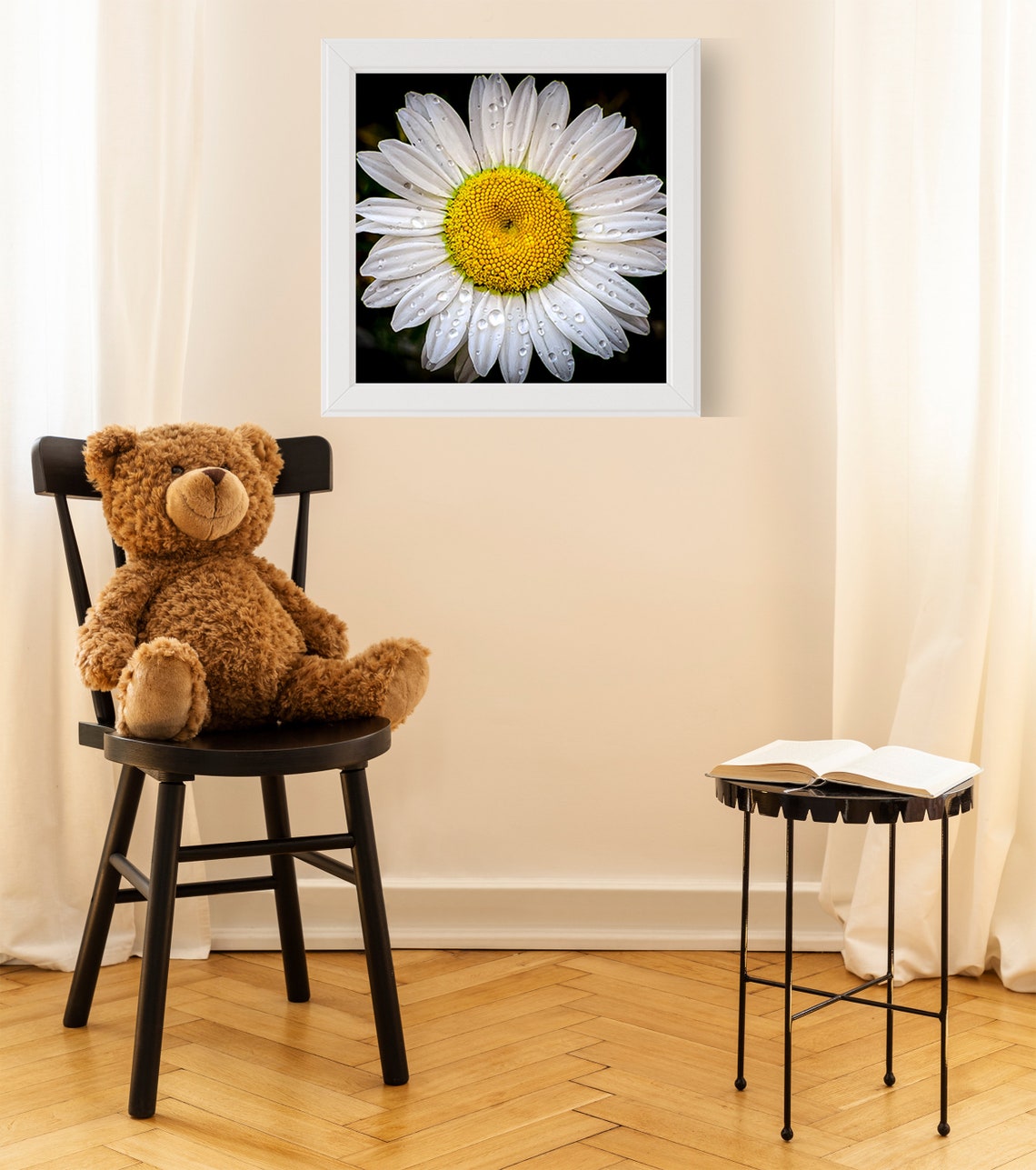 Daisy Dew Drop - Daisy Floral Photo Image Available in Print, Canvas ...