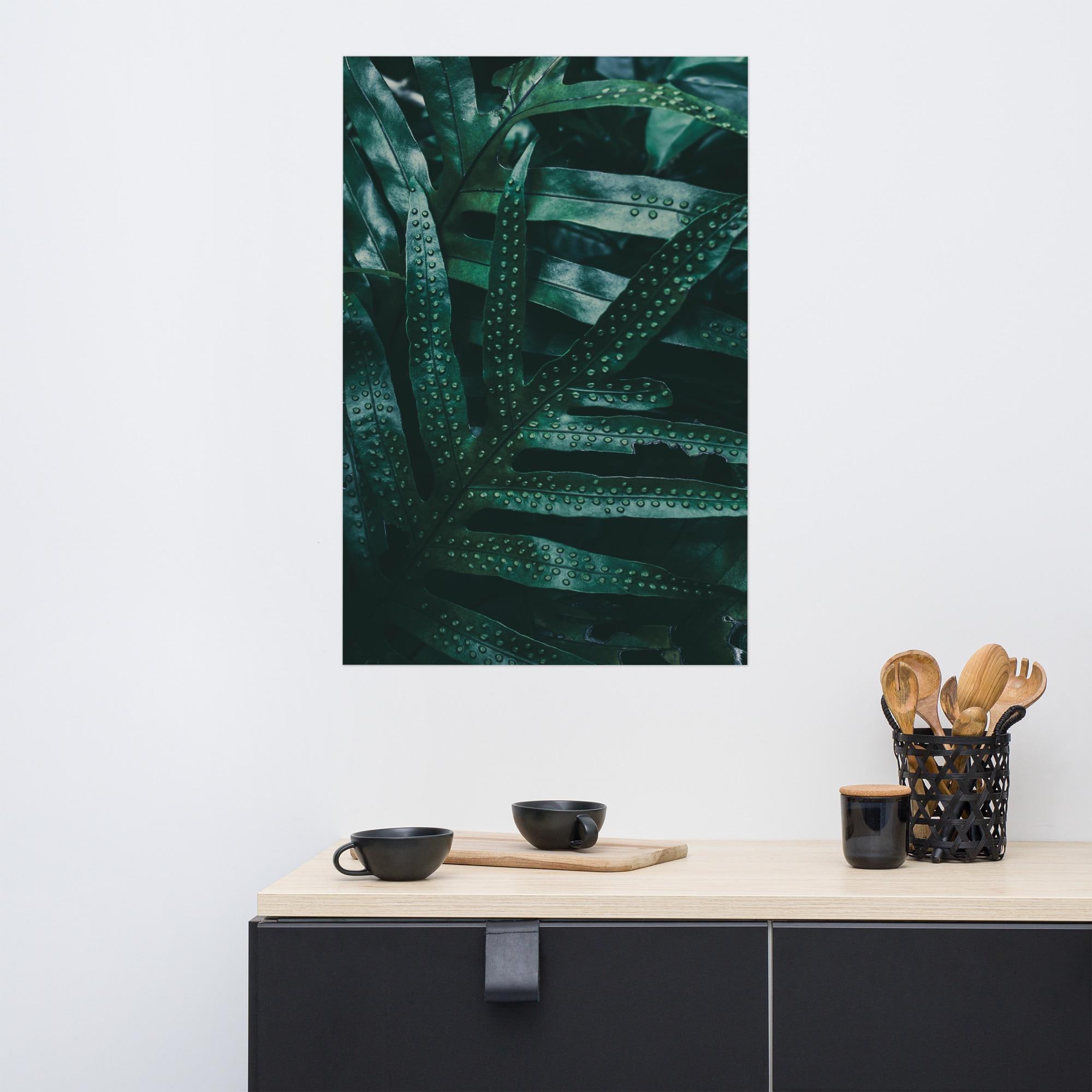 Hawaiian Monarch Fern - Fine Art Photography Print - Etsy