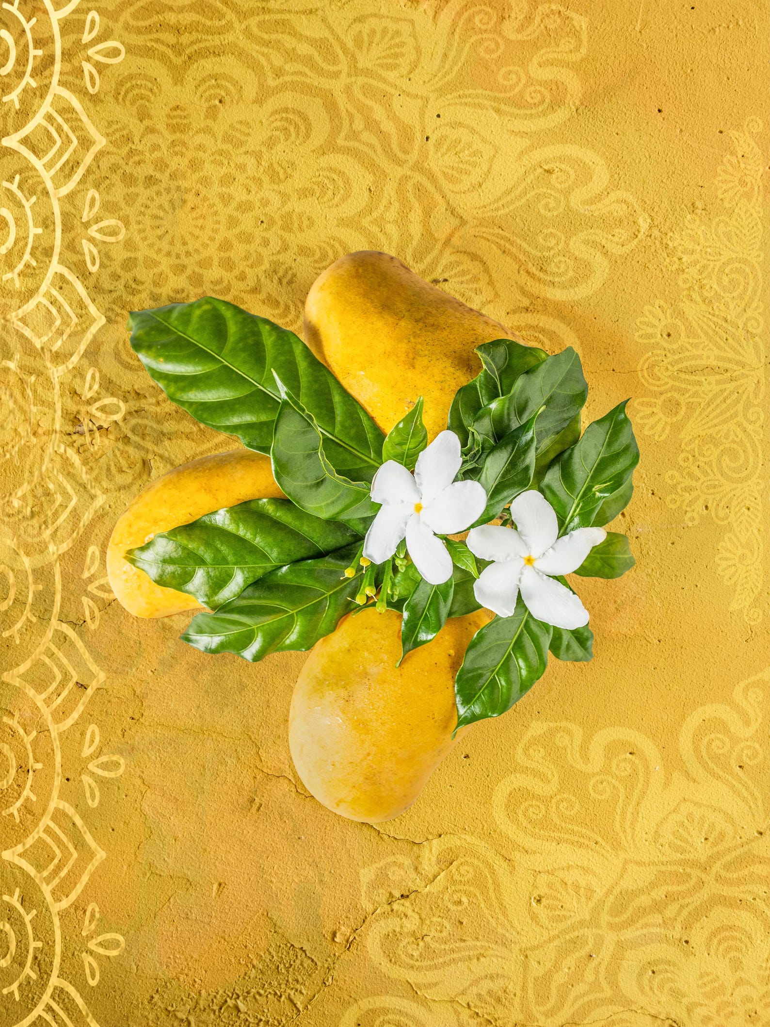 National Symbols of Pakistan: Mango & Jasmine - Fine Art Photography ...