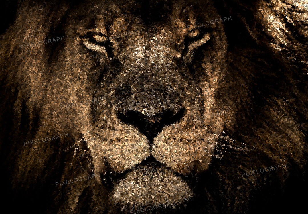 Low Poly Lion Face, Lion Head Low Poly - Etsy