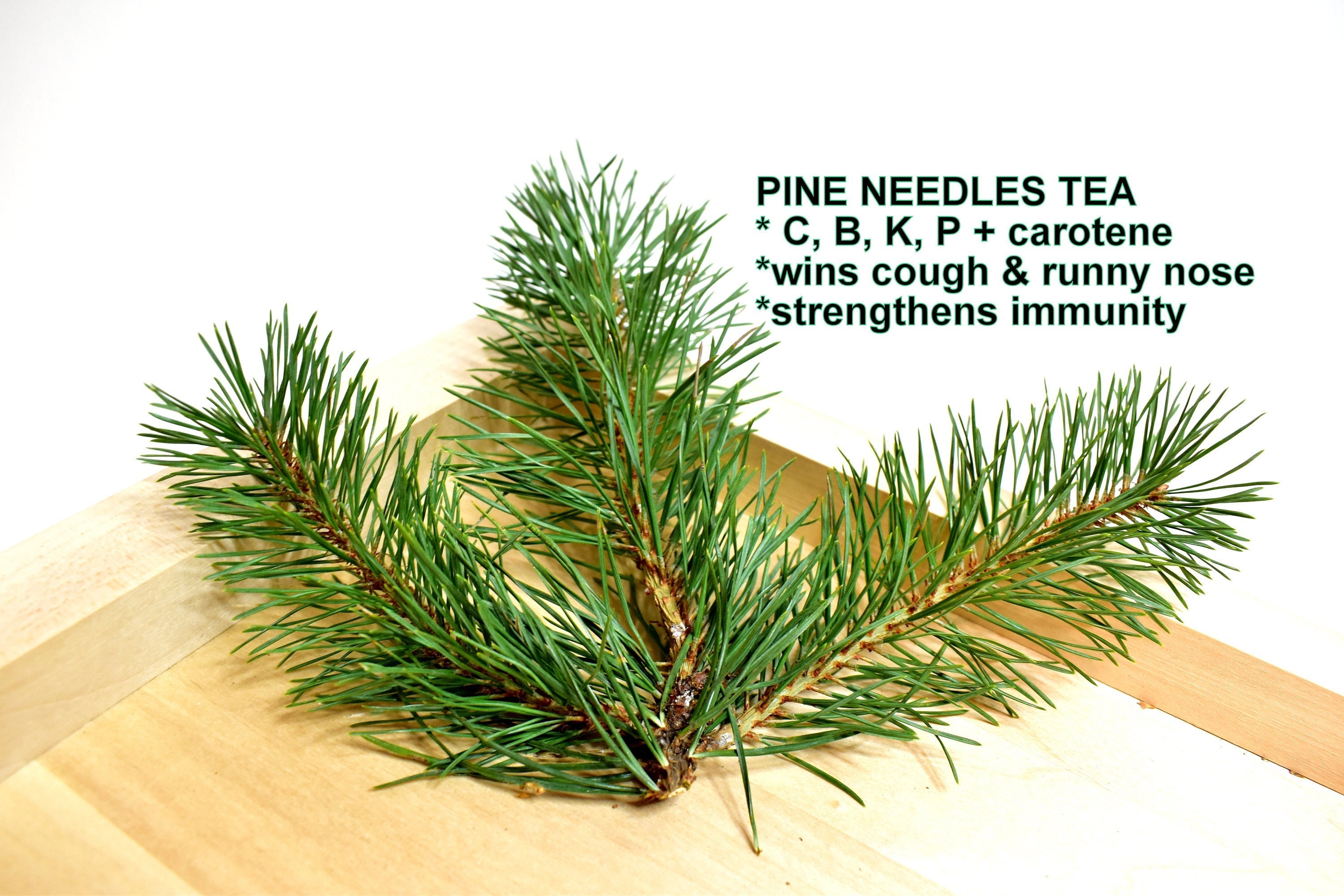 Pinus Pinea, Organic Fresh Pine Needle Tea, Suramine, Health Green Tea ...