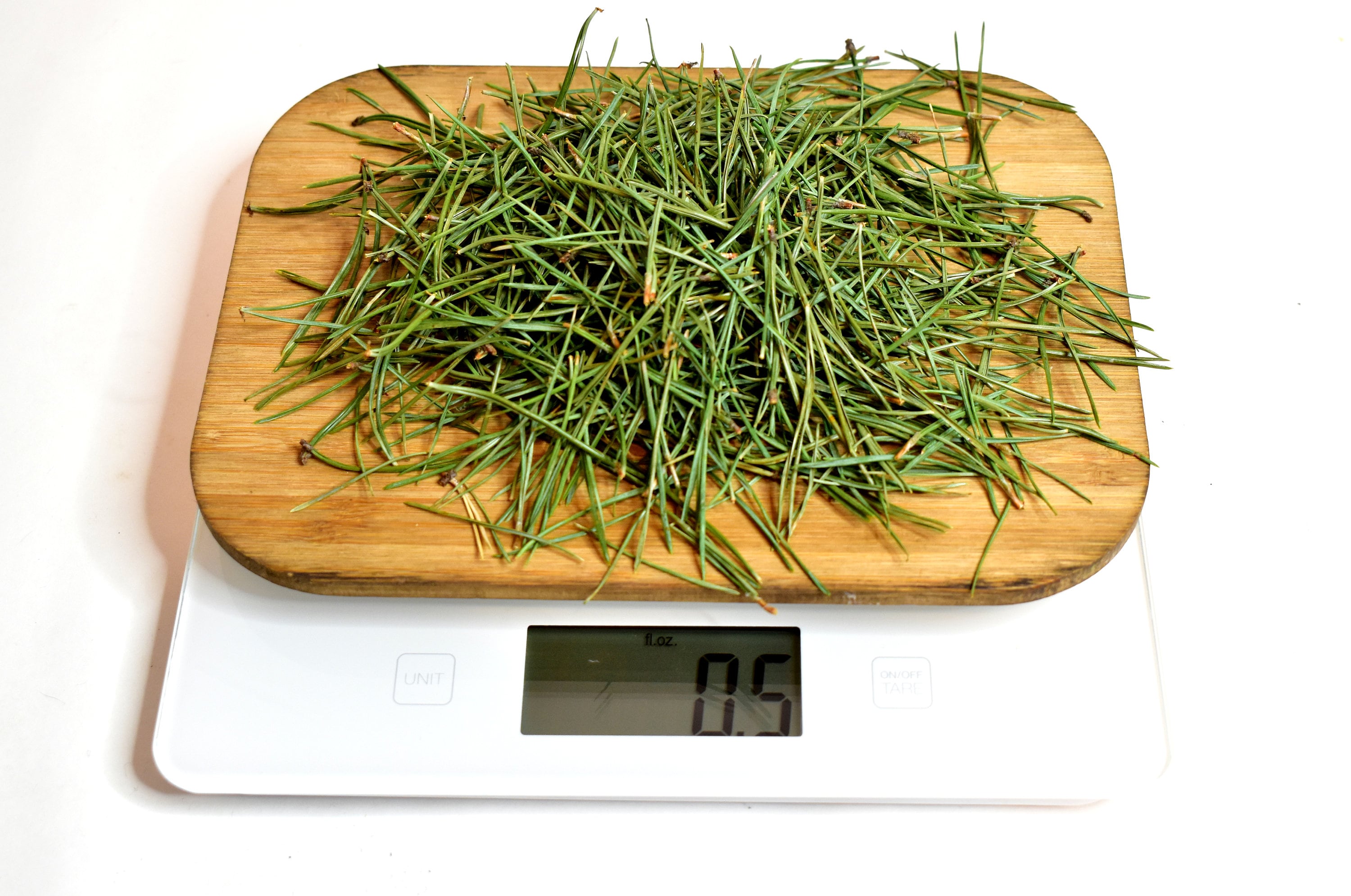 Pinus Pinea Organic Fresh Pine Needle Tea Suramine Health - Etsy