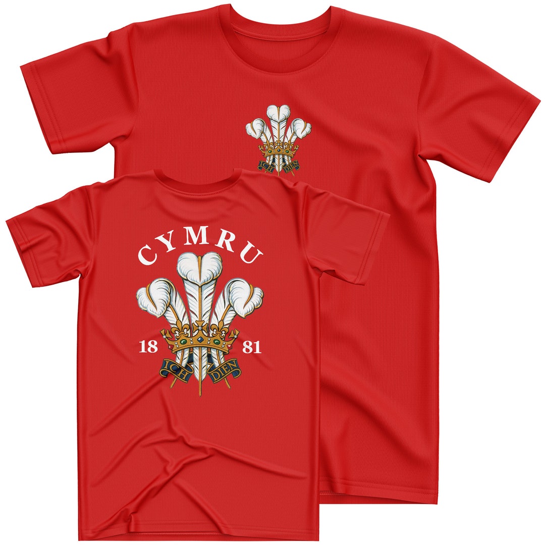 Cymru Feathers Badge Front and Back Print T Shirt, Wales Supporter ...