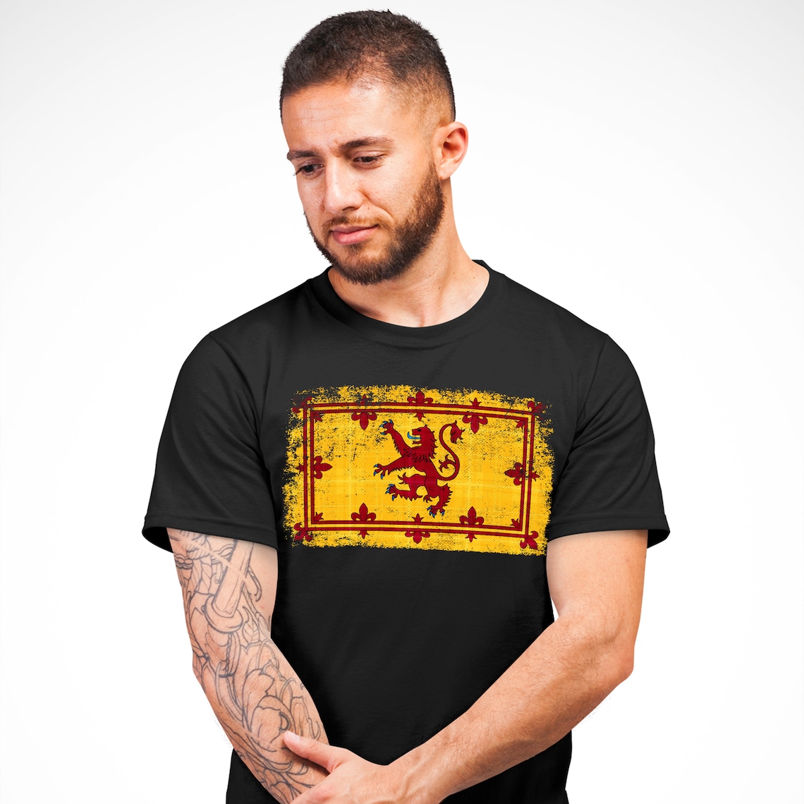 Scottish Coat of Arms Flag T Shirt for Men, Scotland Badge Mens T Shirt ...