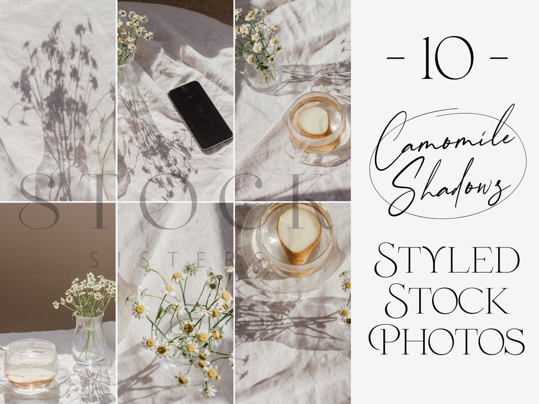 Stock Image Bundle Mock up Images Business Lifestyle Pictures Social ...