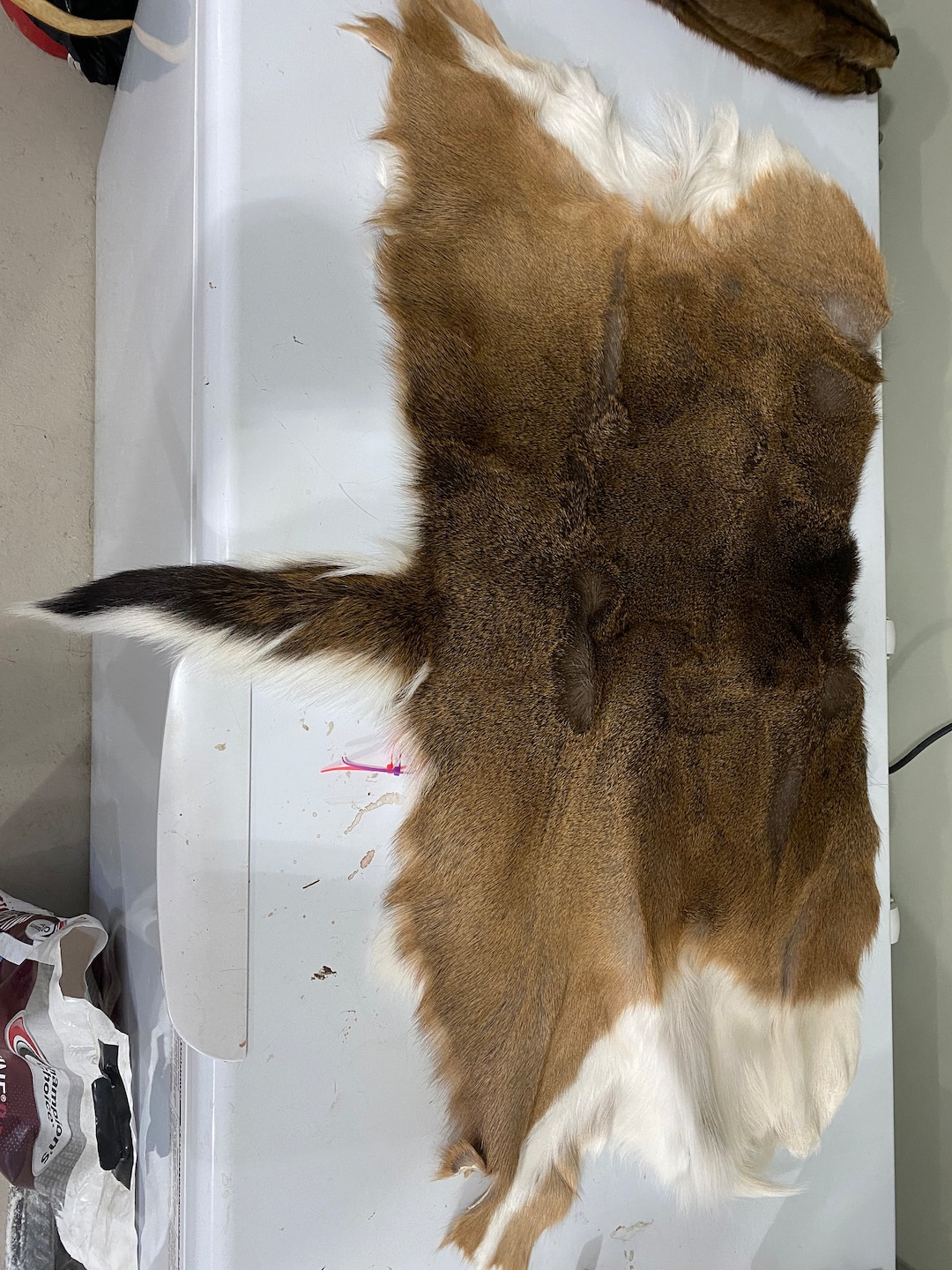 Whitetail Back Hide Professionally Tanned Deer Hide. Fur - Etsy