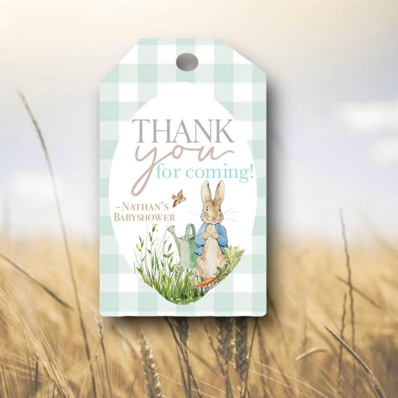 Peter Rabbit Tags - Etsy