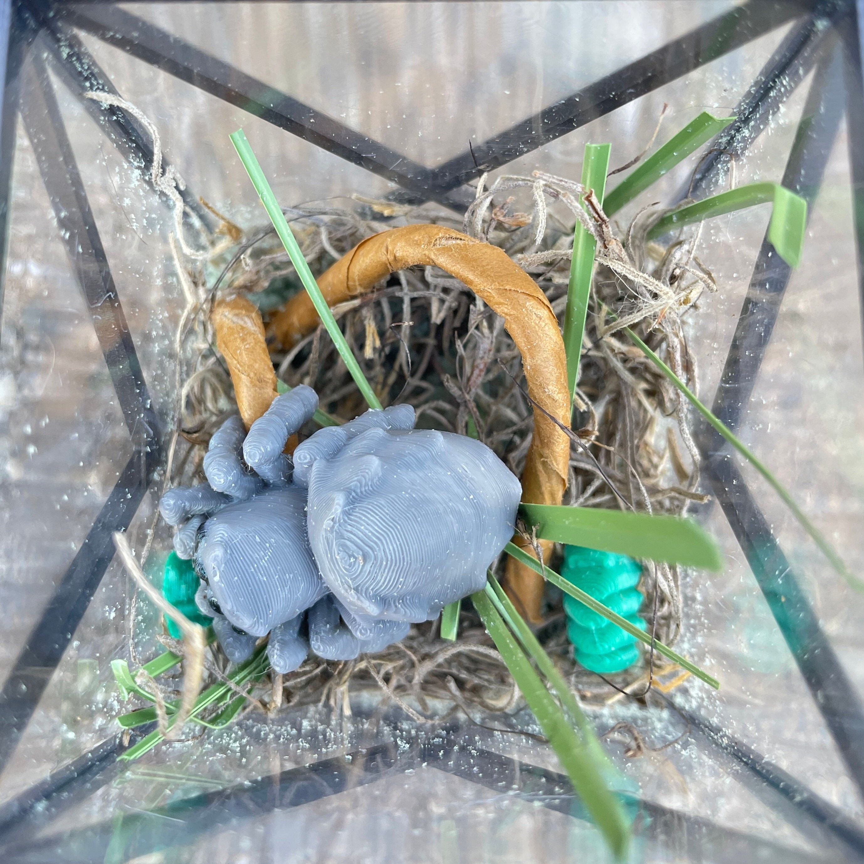 3D Printed Spider in It's Own Habitat spider and Grub Designed by ...