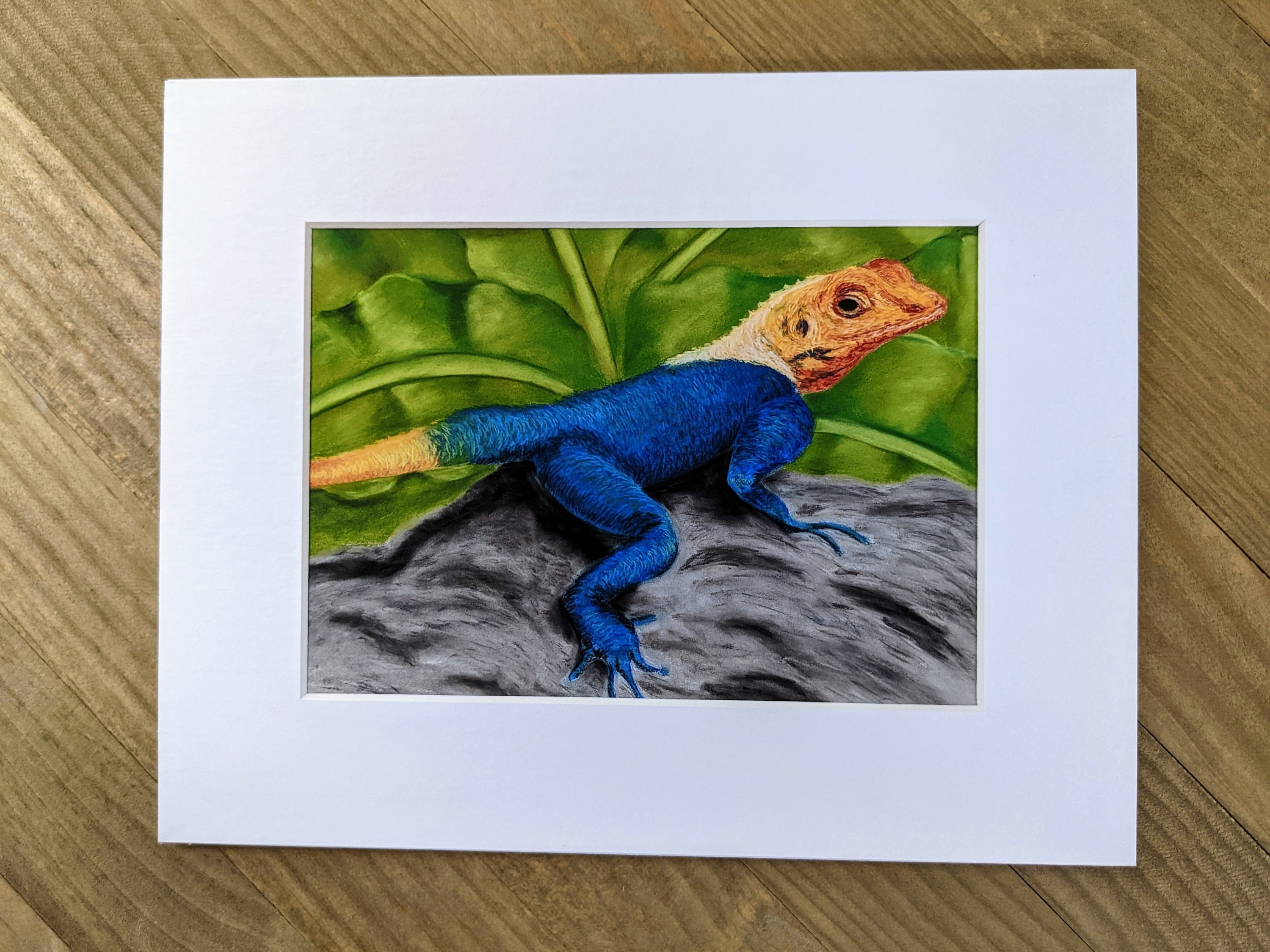 Red-headed Rock Agama Pastel Drawing Print - Etsy