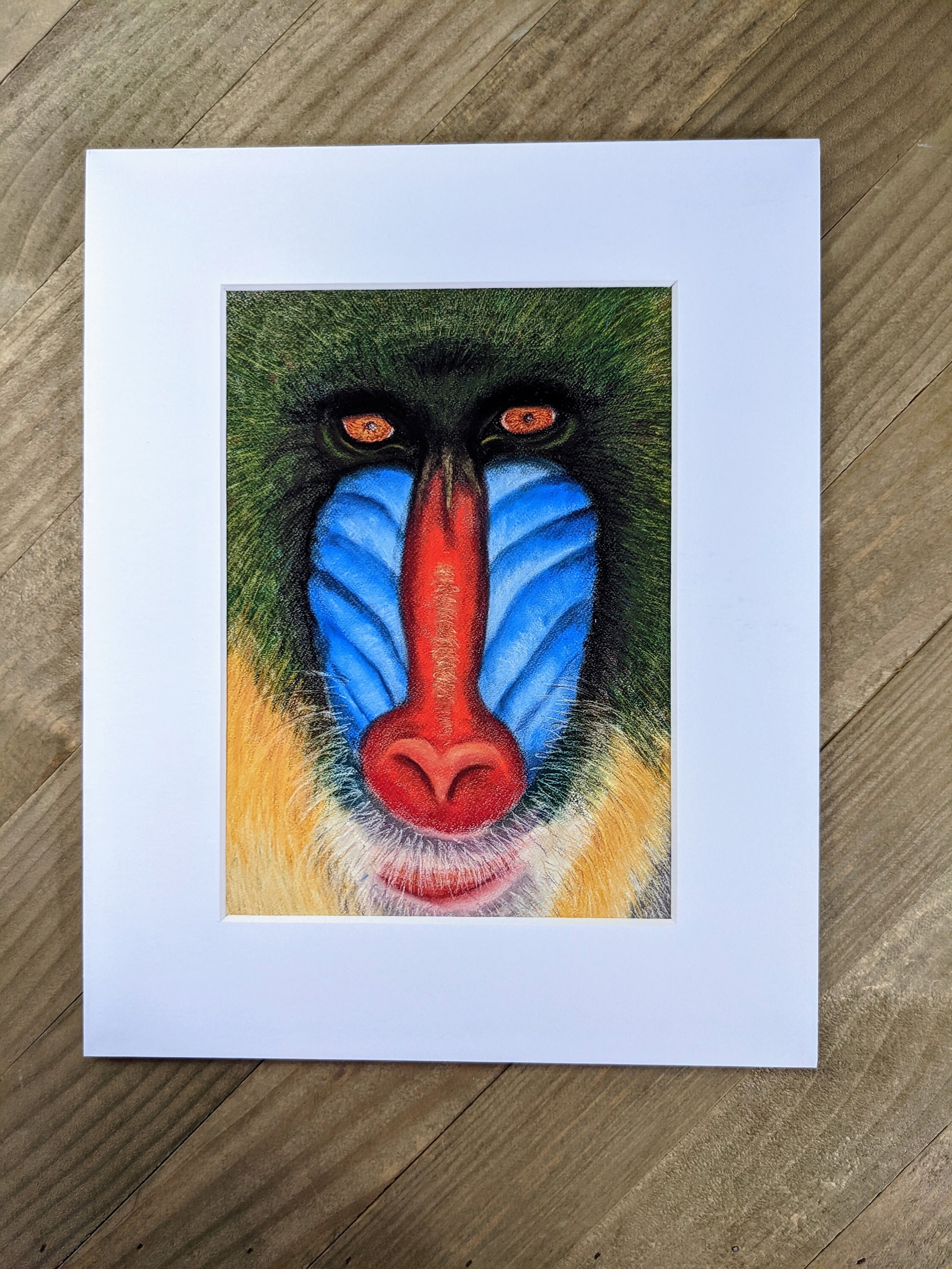 Mandrill Pastel Drawing Print - Etsy