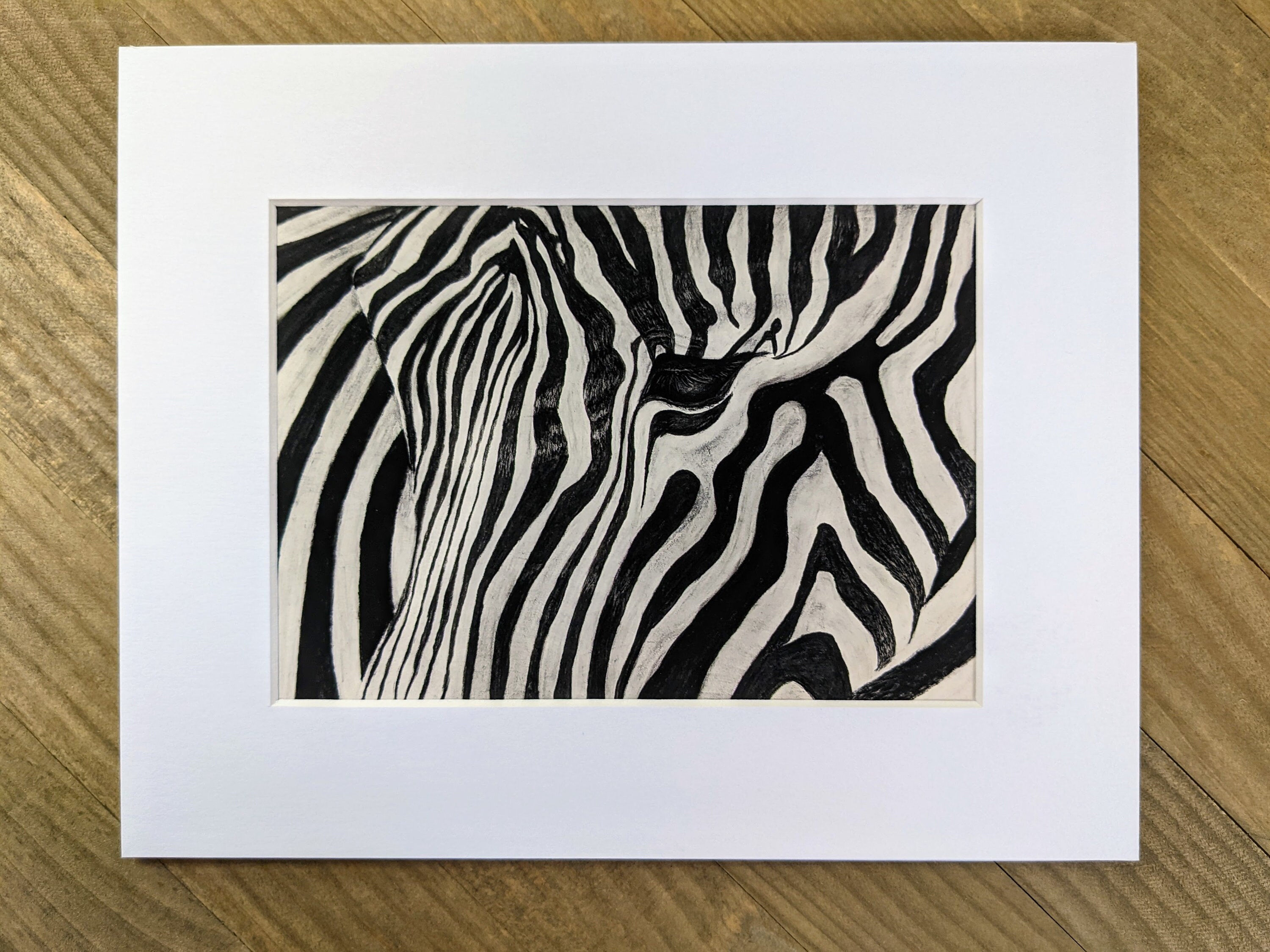 Zebra Charcoal Drawing Print - Etsy