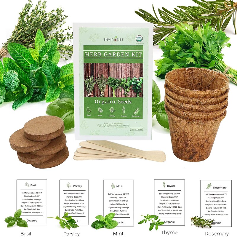 Herb Garden Kit - Etsy