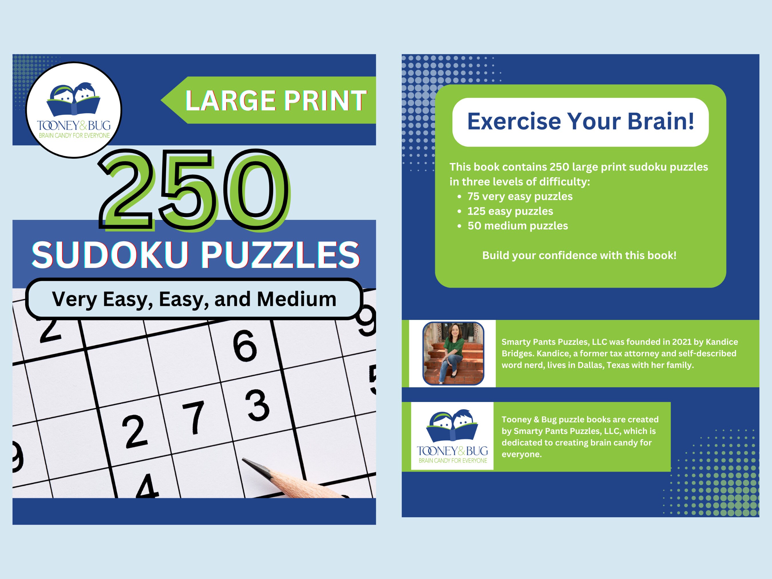 250 Sudoku Puzzles Printable Large Print Sudoku Very Easy, Easy ...