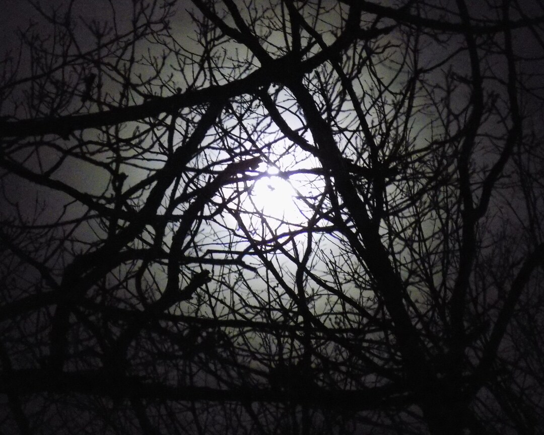 Gothic Full Moon 1 Photography Print, Full Moon Print, Gothic Decor ...