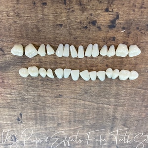 Fake Teeth - Etsy