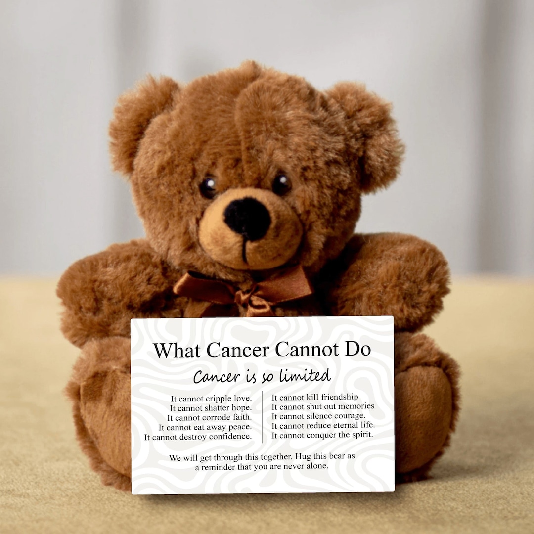 What Cancer Cannot Do Teddy Bear, Price Includes Free Shipping - Etsy