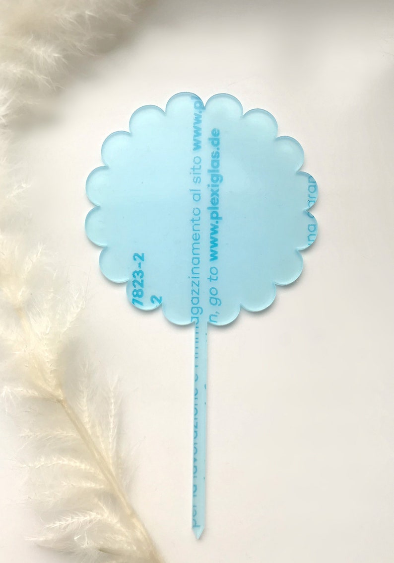 Set of 5 Blank Scalloped Circle Cake Toppers With Stick Clear, White ...