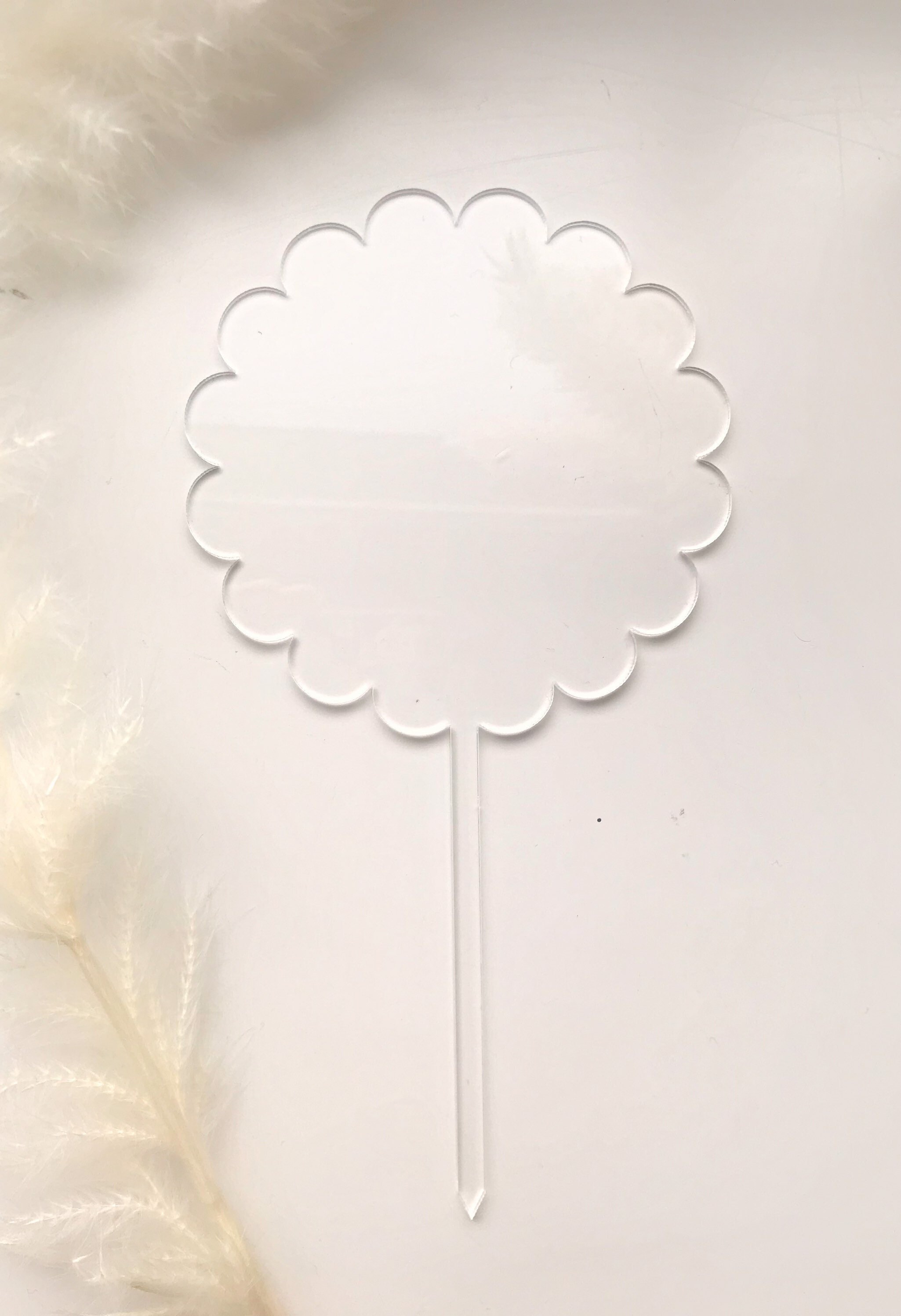 Set of 5 Blank Scalloped Circle Cake Toppers With Stick Clear, White ...