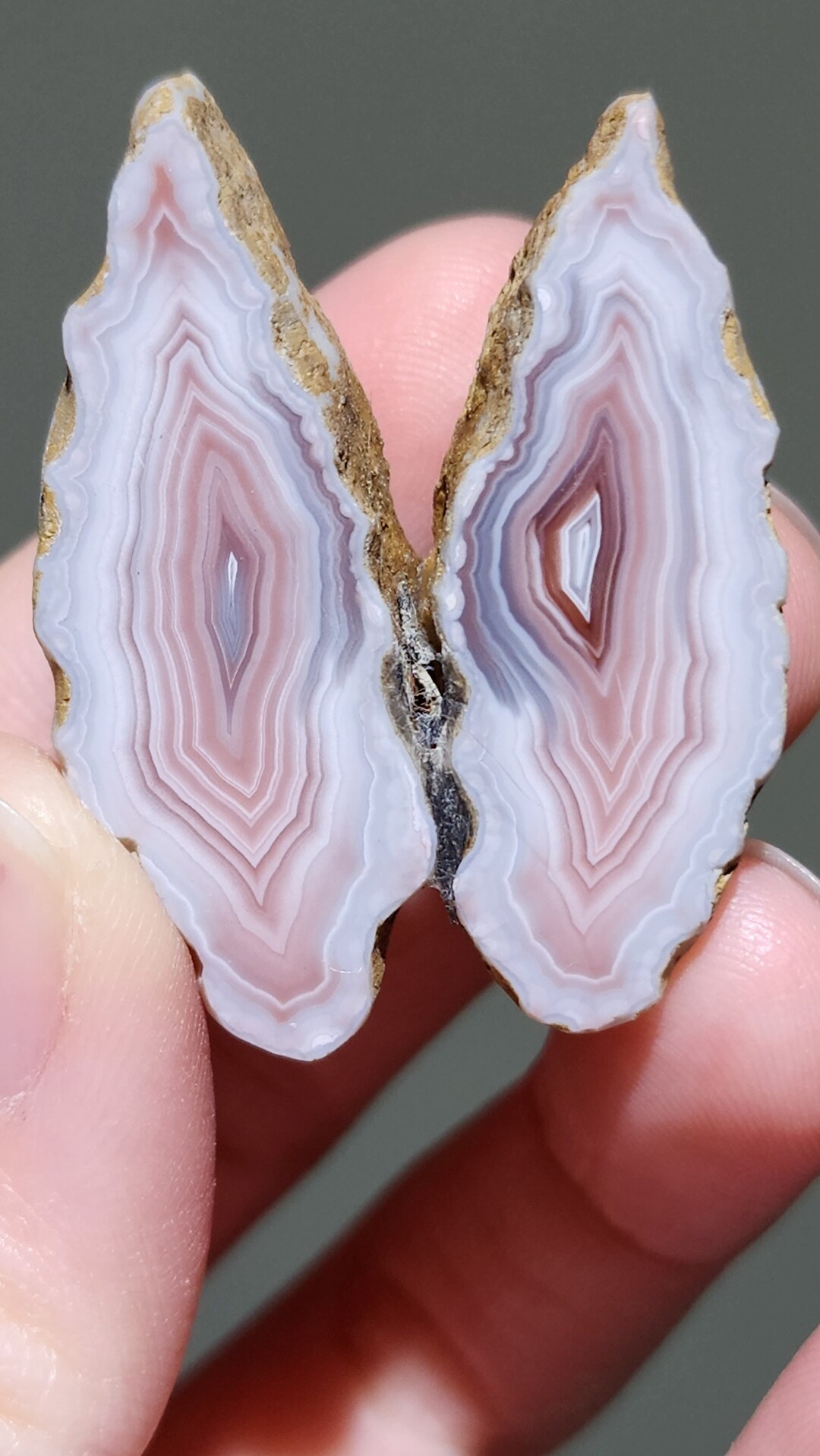 Australian Pink Galah Agate Nodule Pair Polished Laguna - Etsy