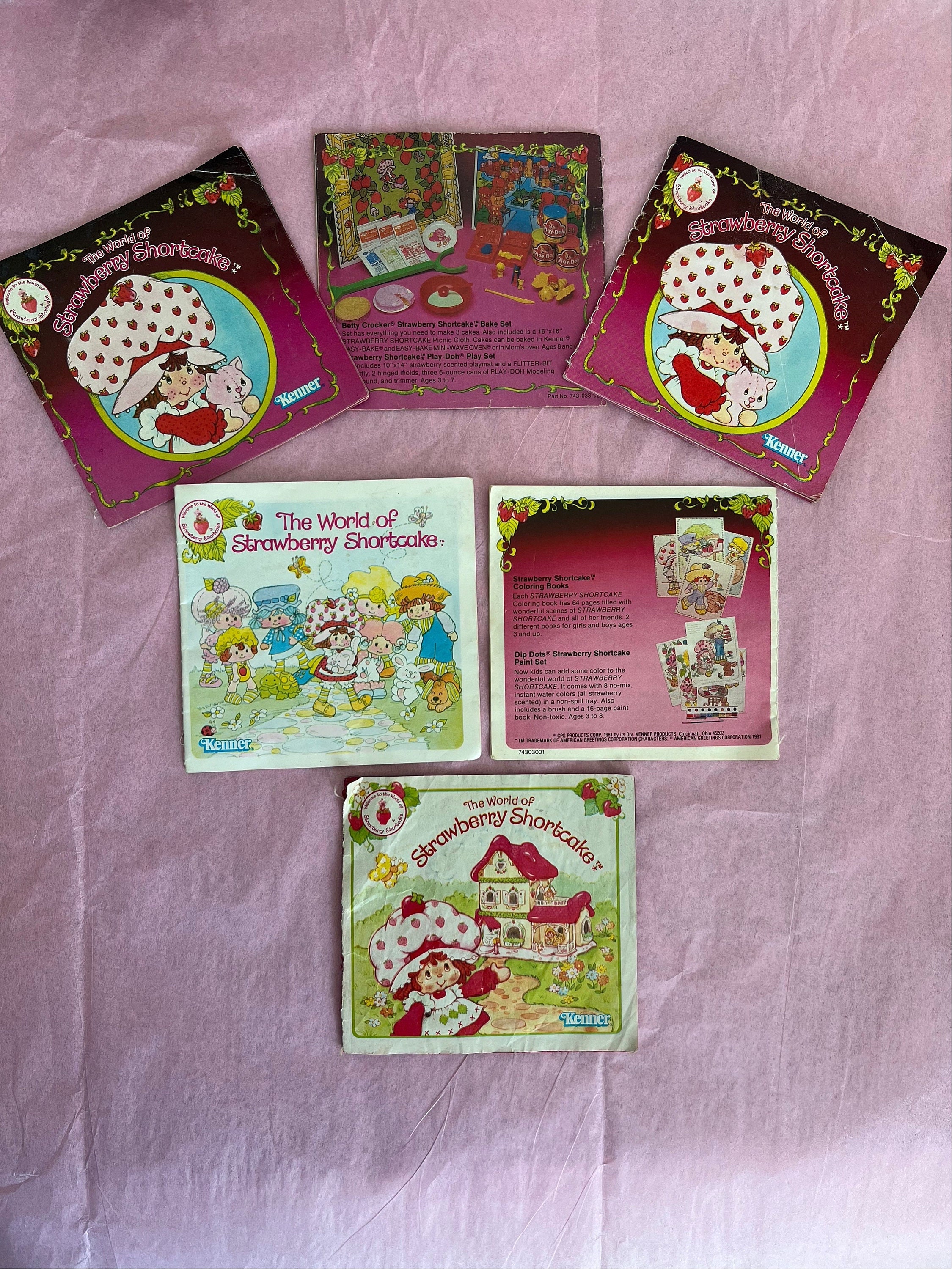 Strawberry Shortcake Booklets - Etsy