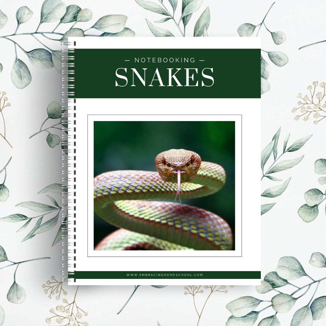 Snakes Notebooking Pages 27 Printable Pages - Etsy