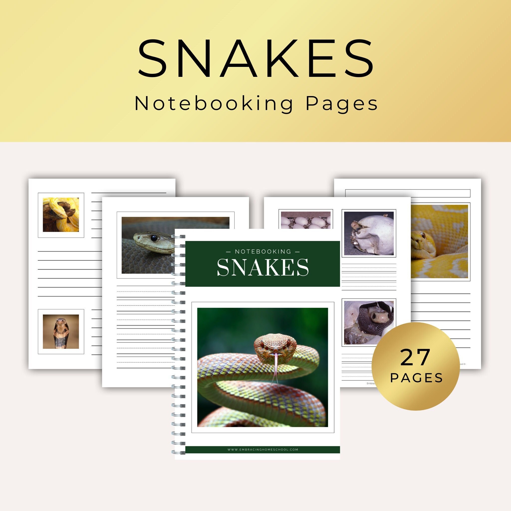 Snakes Notebooking Pages 27 Printable Pages - Etsy