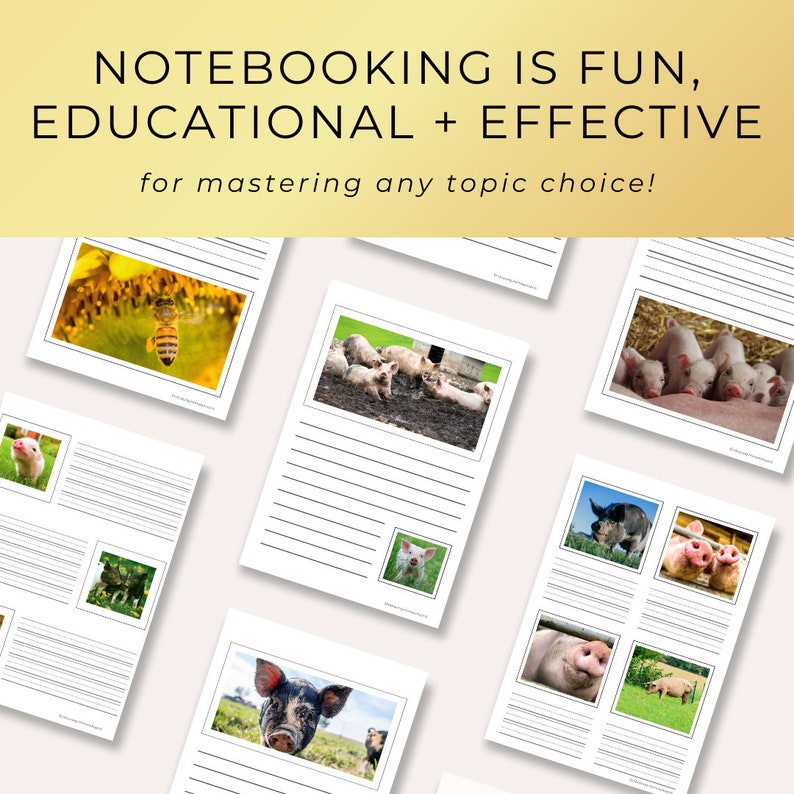 Pigs Notebooking Pages | 27 Printable Pages - Etsy