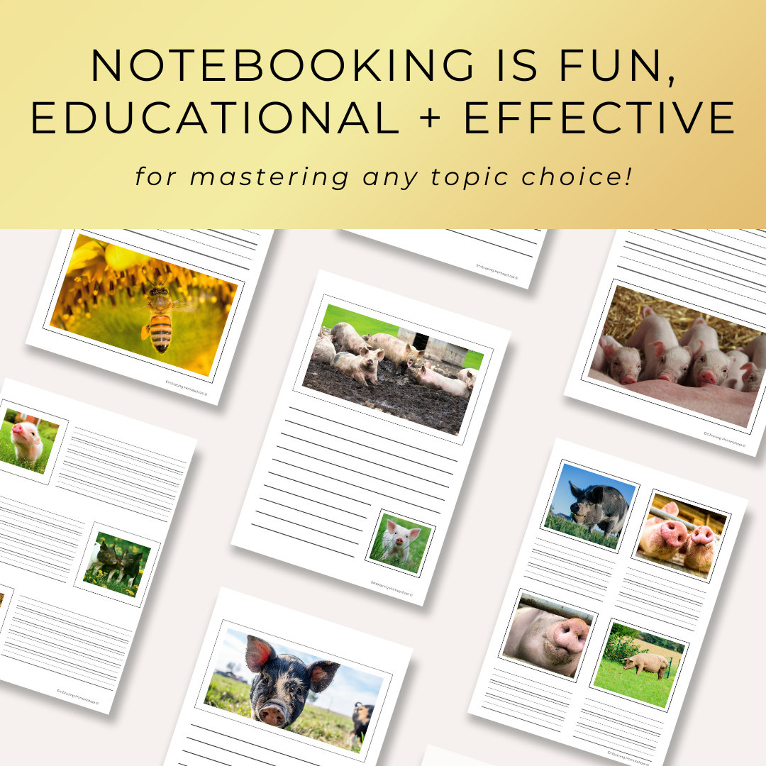 Pigs Notebooking Pages | 27 Printable Pages - Etsy