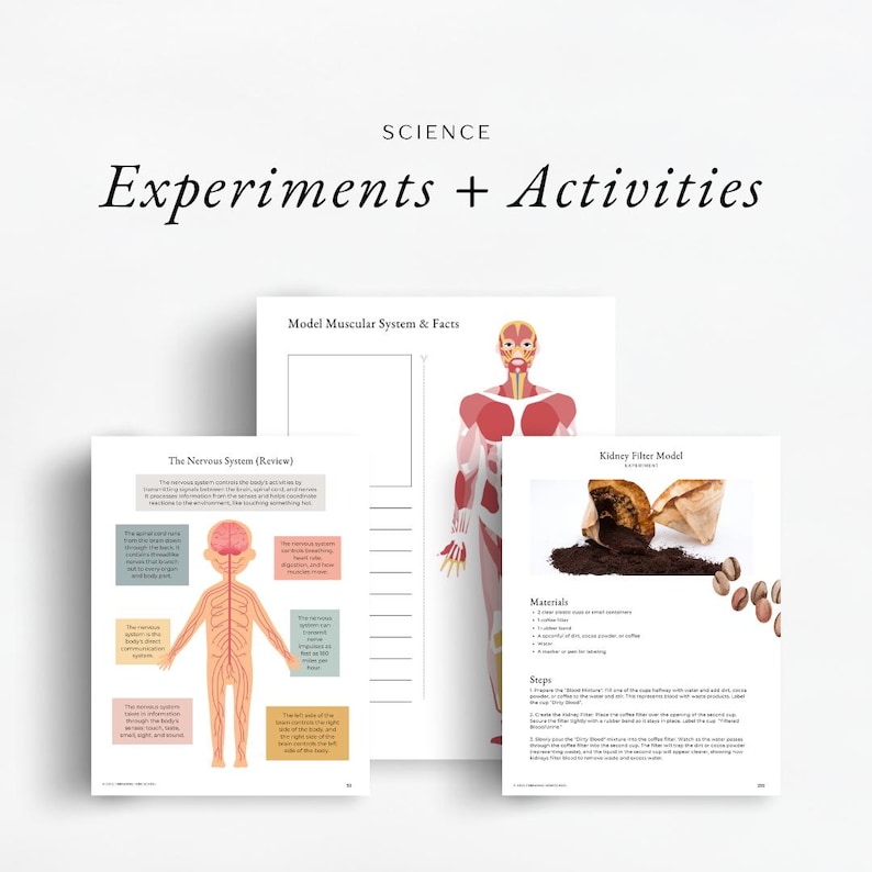 The Simplified Feast: Human Body Unit Study - Etsy