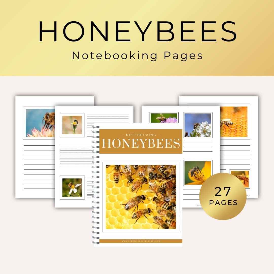 Honeybees Notebooking Pages 27 Printable Pages - Etsy