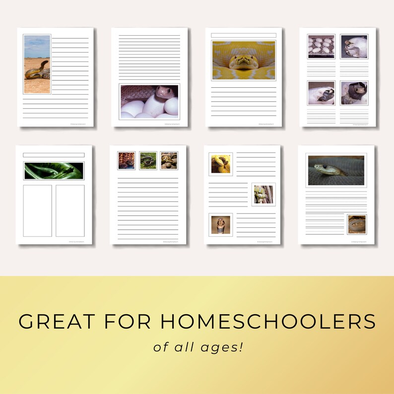 Snakes Notebooking Pages | 27 Printable Pages - Etsy