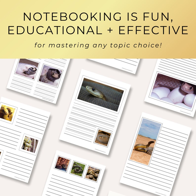Snakes Notebooking Pages | 27 Printable Pages - Etsy