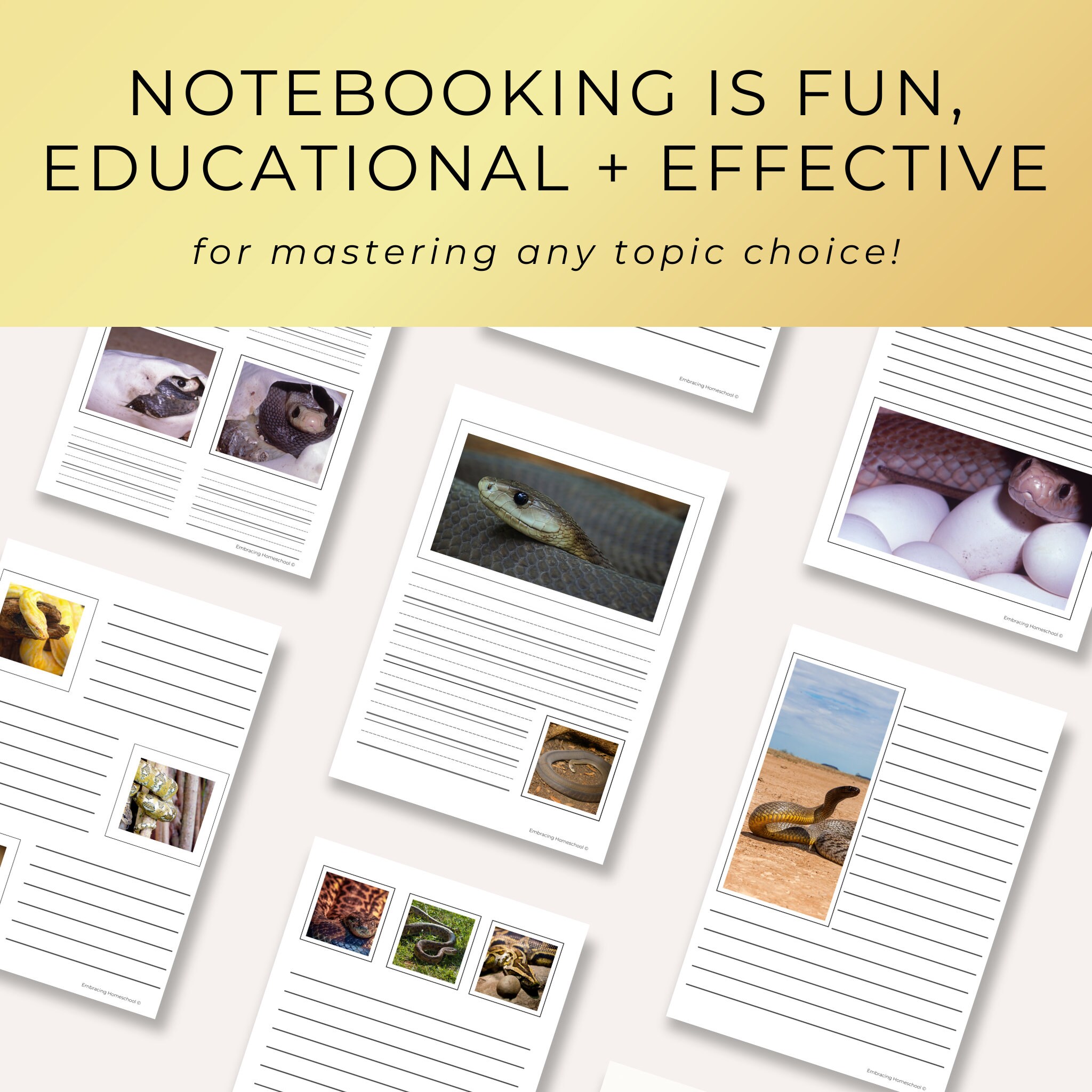 Snakes Notebooking Pages 27 Printable Pages - Etsy