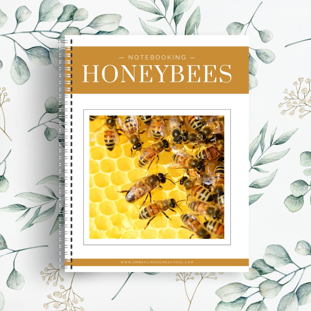 Honeybees Notebooking Pages | 27 Printable Pages - Etsy