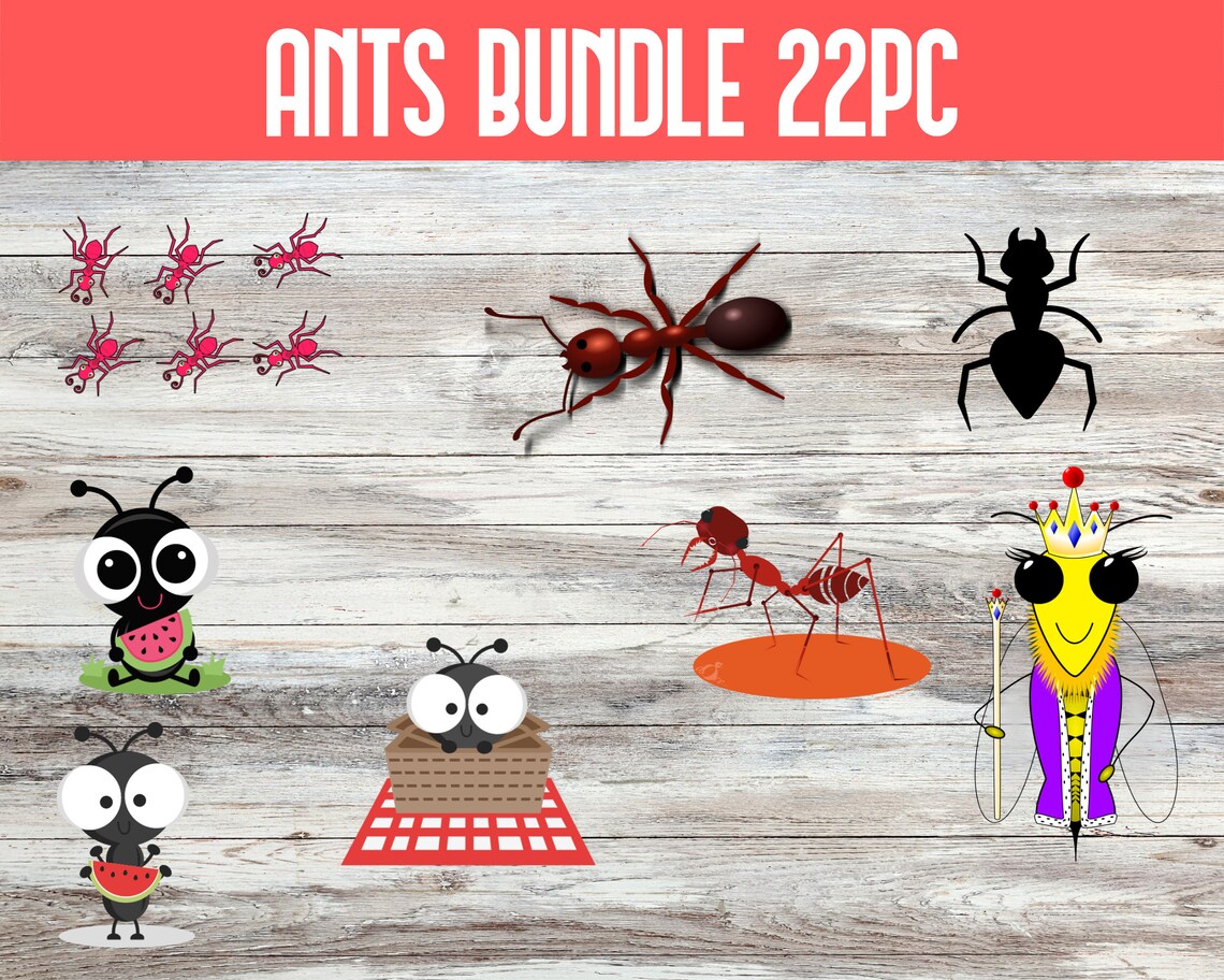 Adorable Picnic Ant Clipart for Crafts and Monograms - Etsy