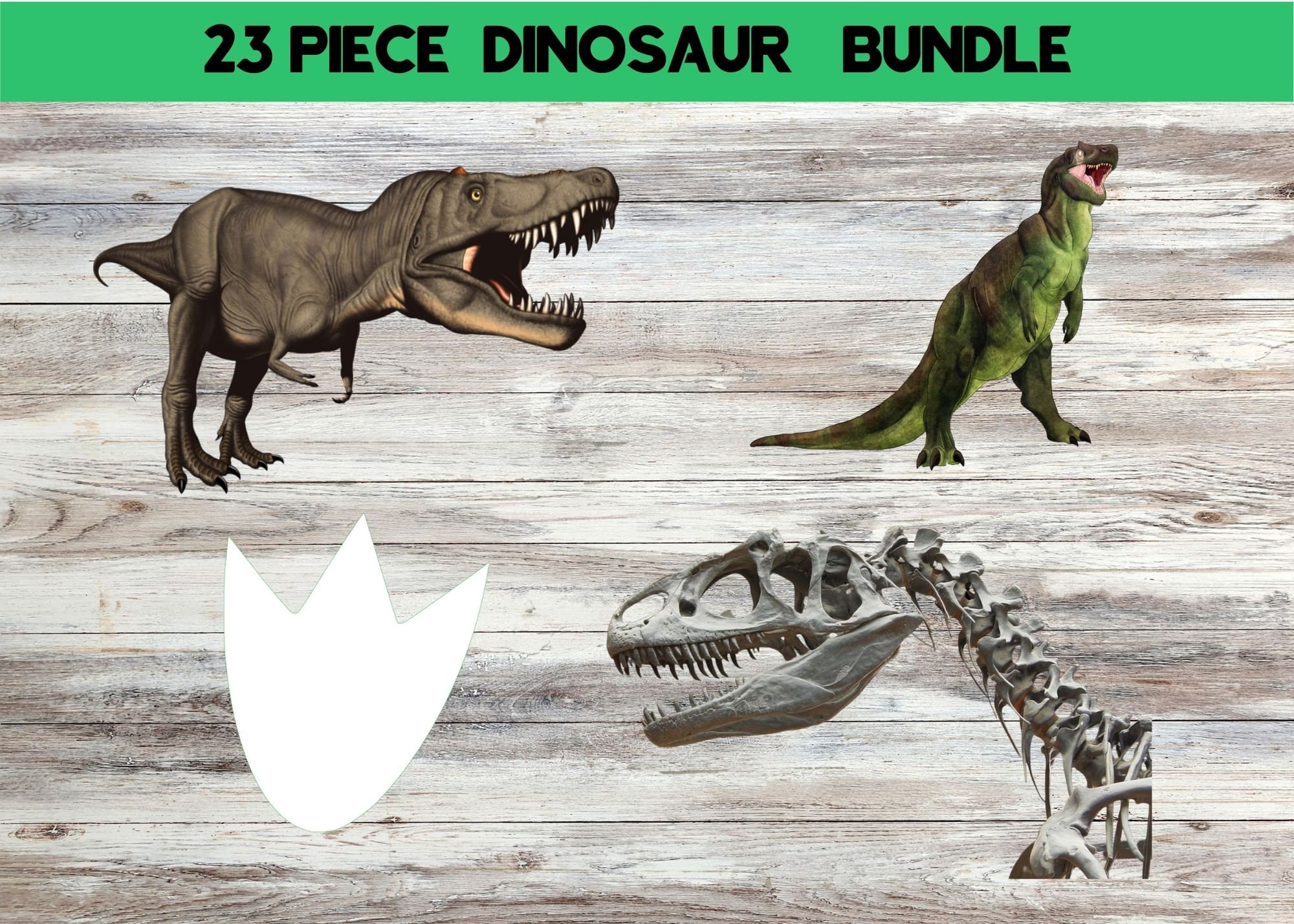 Dinosaur Digital Bundle With T-rex and Triceratops Printable Designs - Etsy