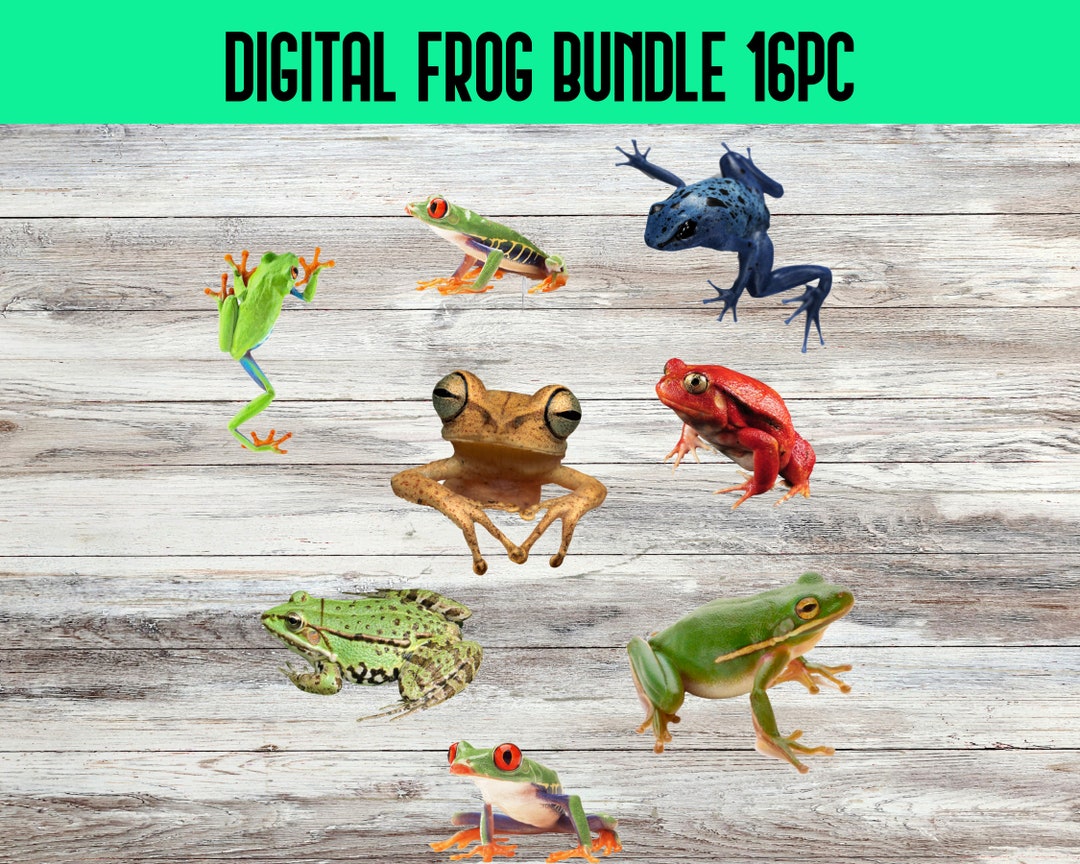 Frog Sticker Bundle for Festive Decor Valentine Halloween - Etsy