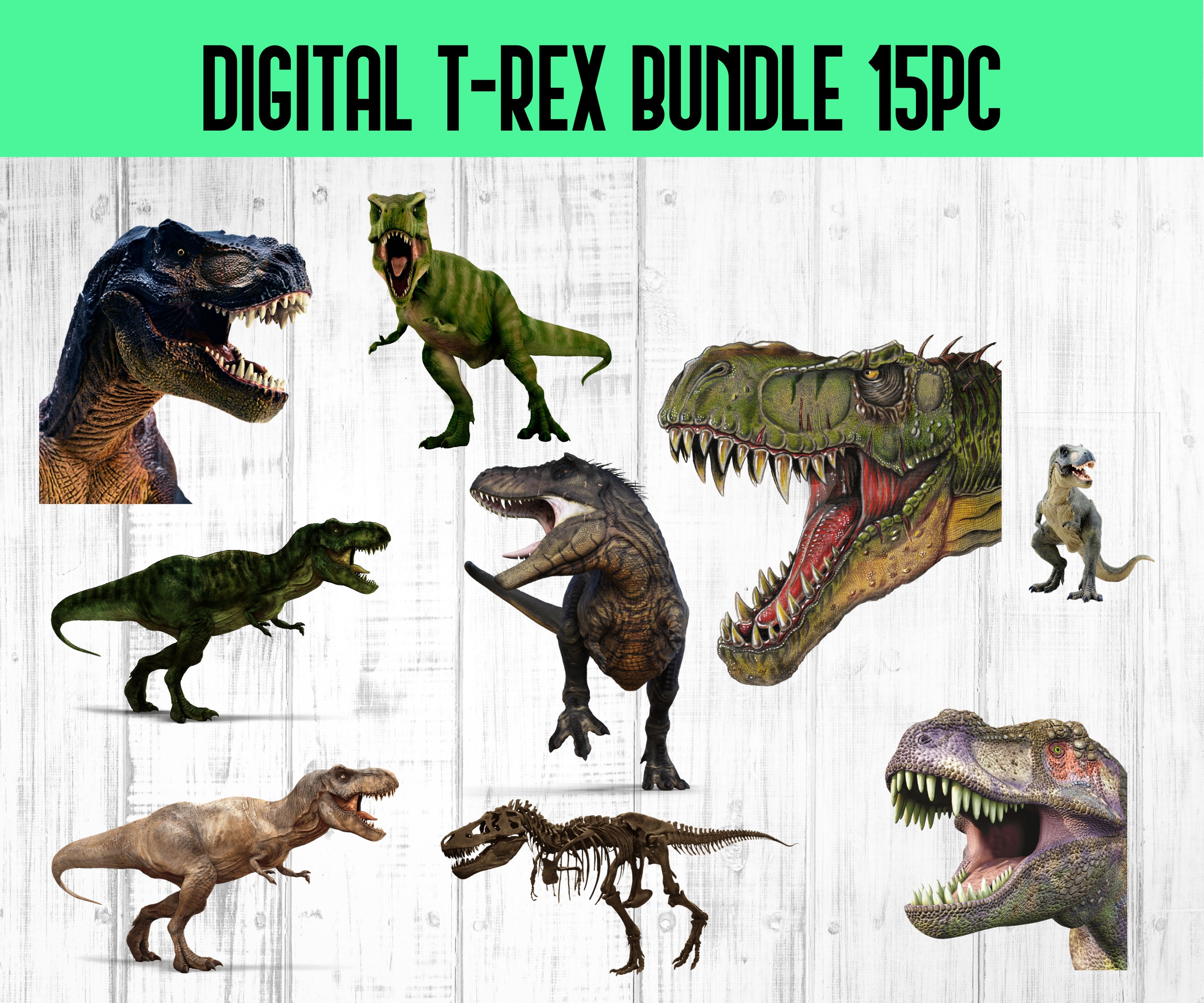 REALISTIC DINOSAUR Clip Art, T-rex Dinosaur Bundle, Dinosaur Clip Art ...