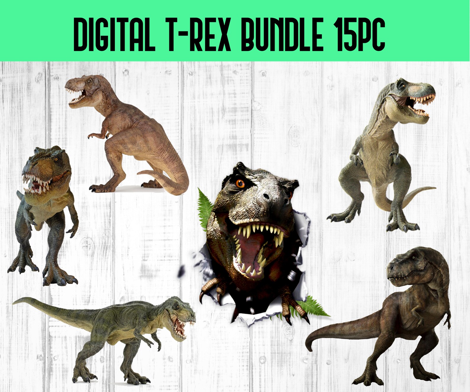 REALISTIC DINOSAUR Clip Art, T-rex Dinosaur Bundle, Dinosaur Clip Art ...