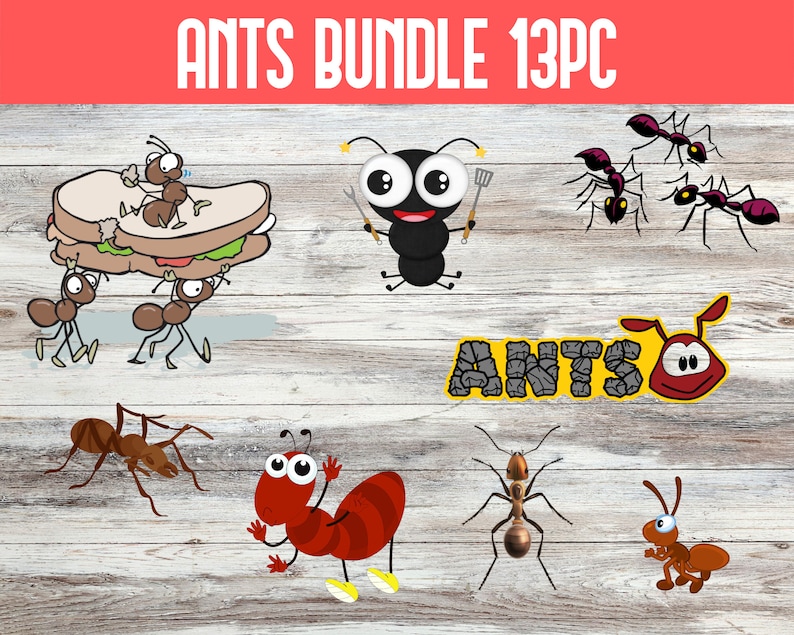 Adorable Picnic Ant Clipart for Crafts and Monograms - Etsy