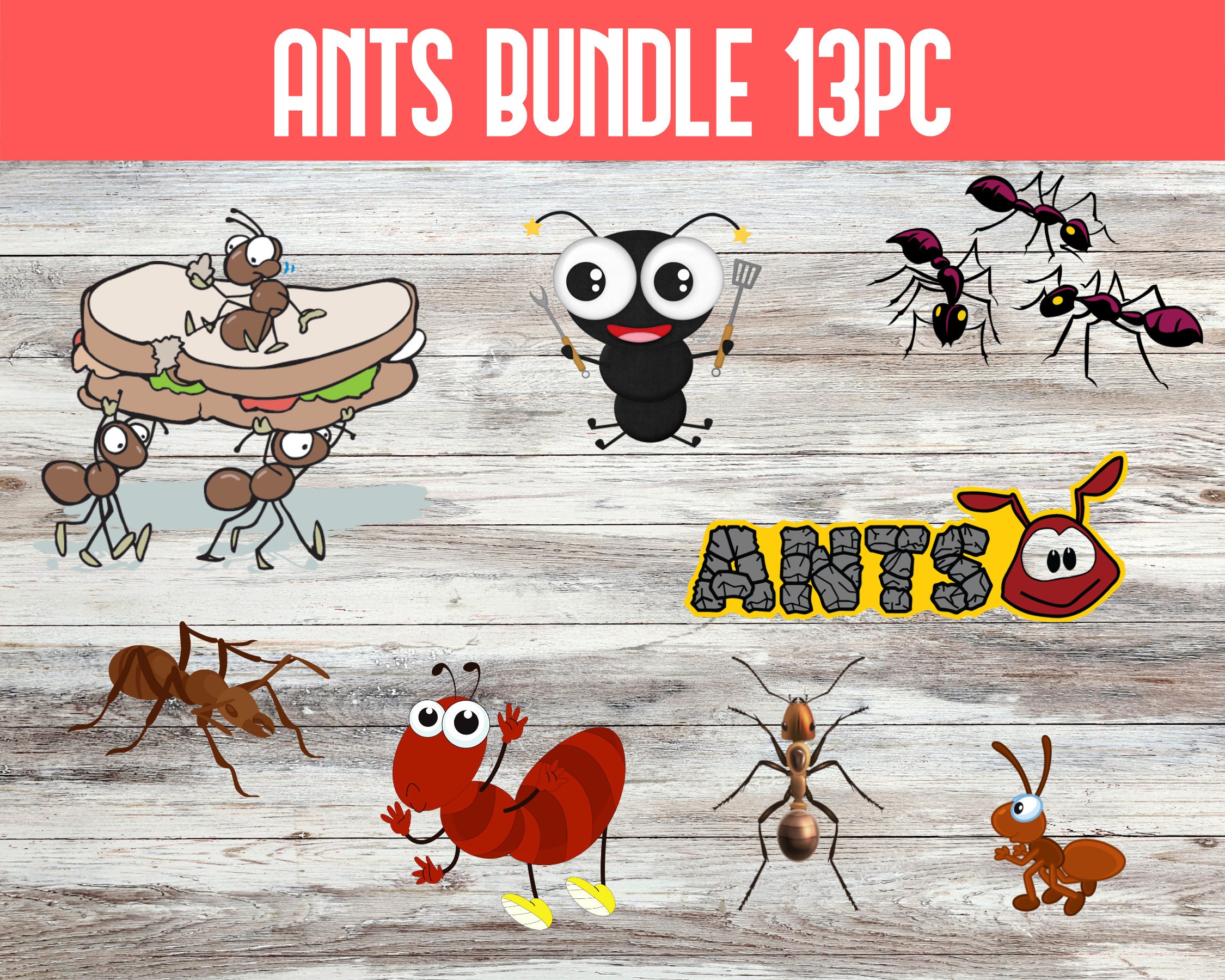 Picnic Ants Carrying Food