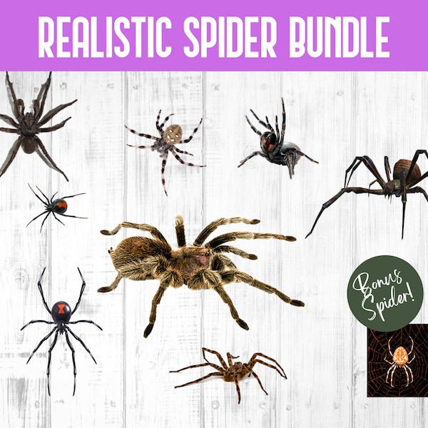 Realistic Spider - Etsy