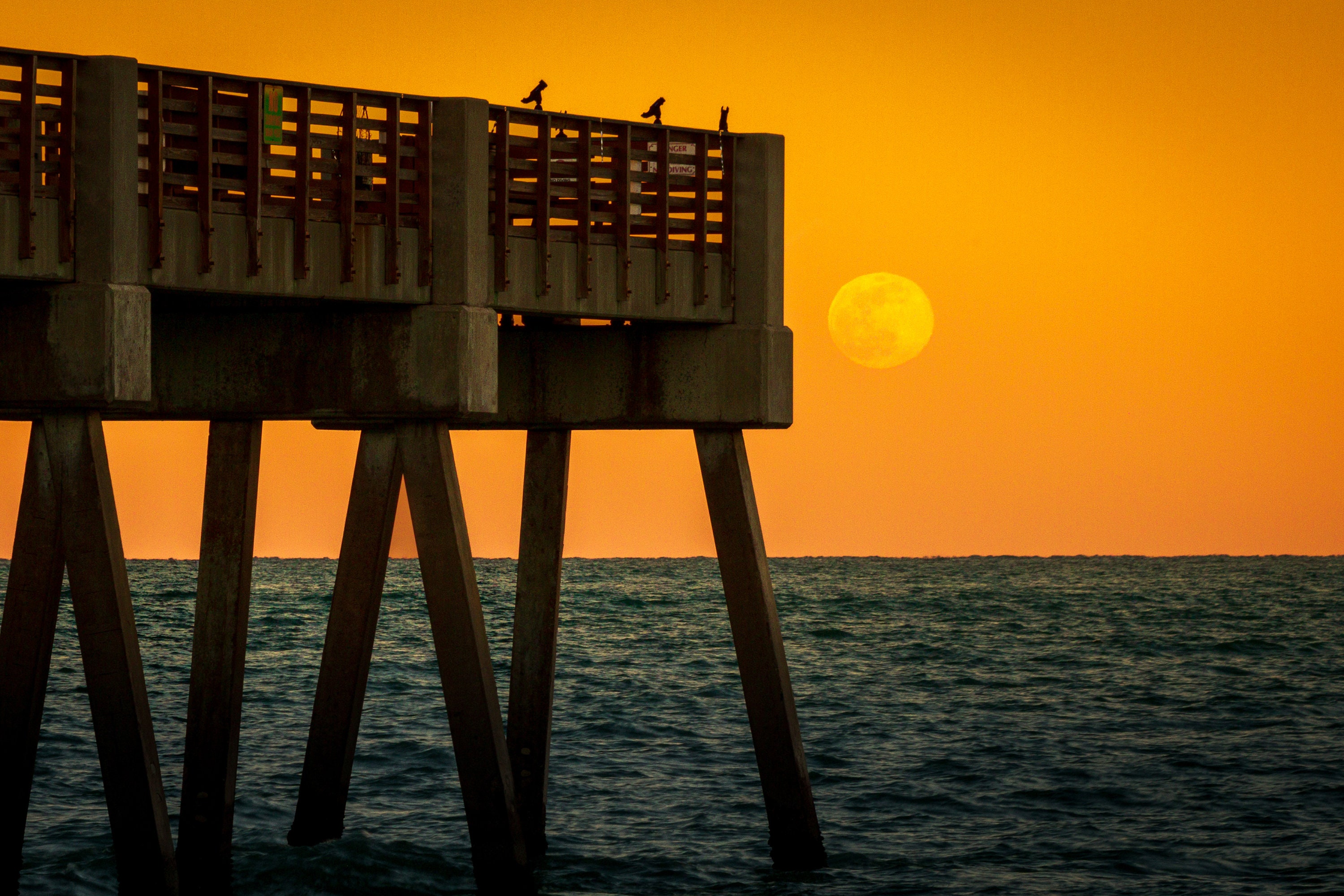 Vero Beach Pier With Golden Hour Moon Rise Canvas or Acrylic Print Art ...